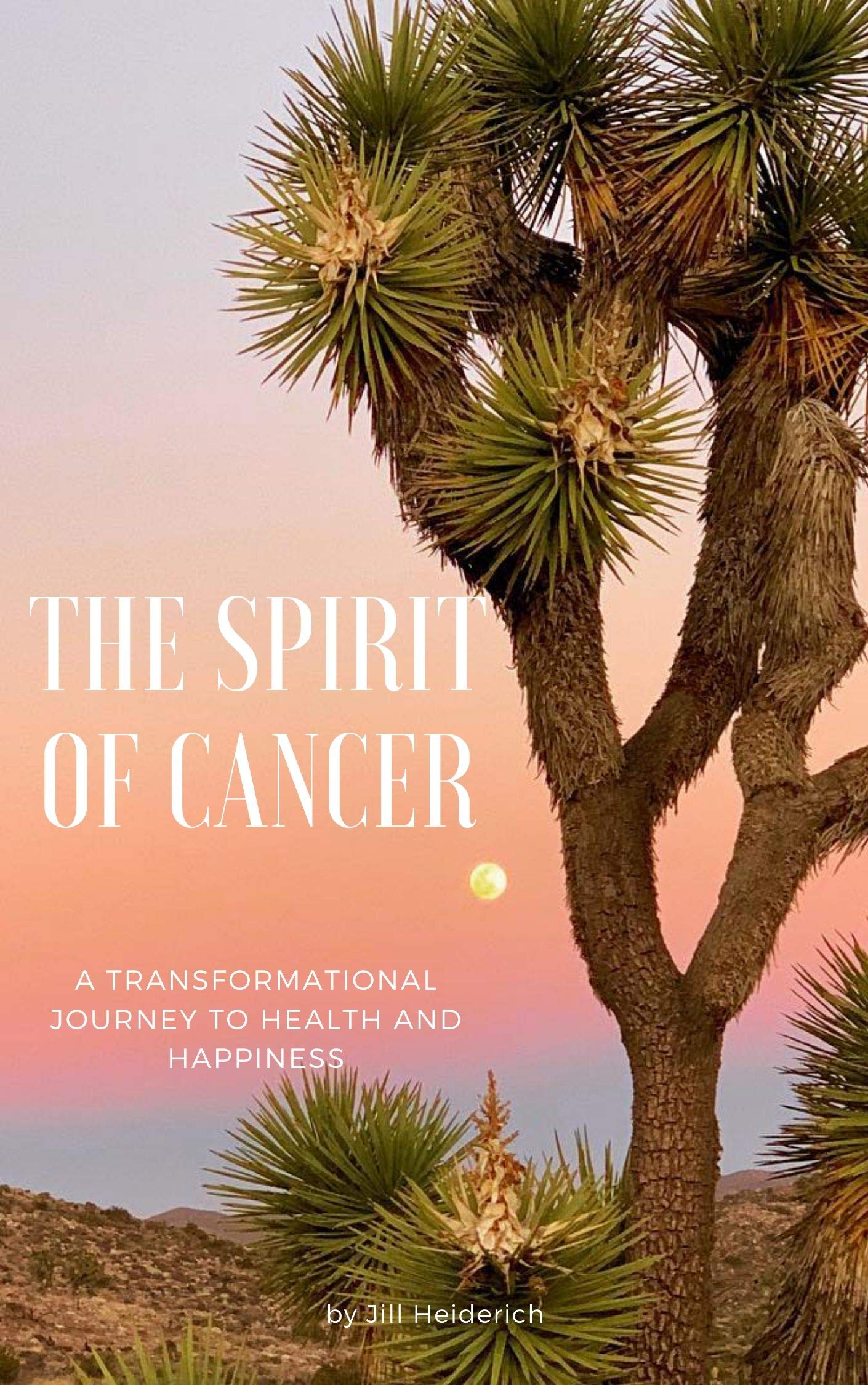The Spirit of Cancer: A Transformational Journey to Health and ...
