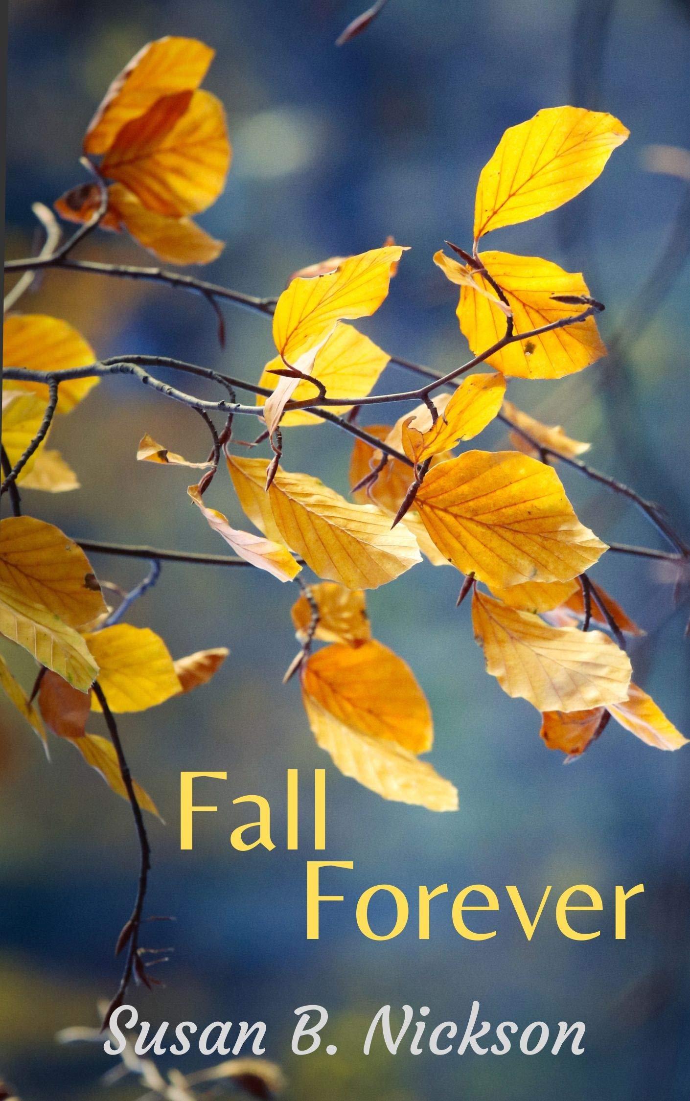 FALL FOREVER: Women's Fiction Novel about life and love, in small town ...