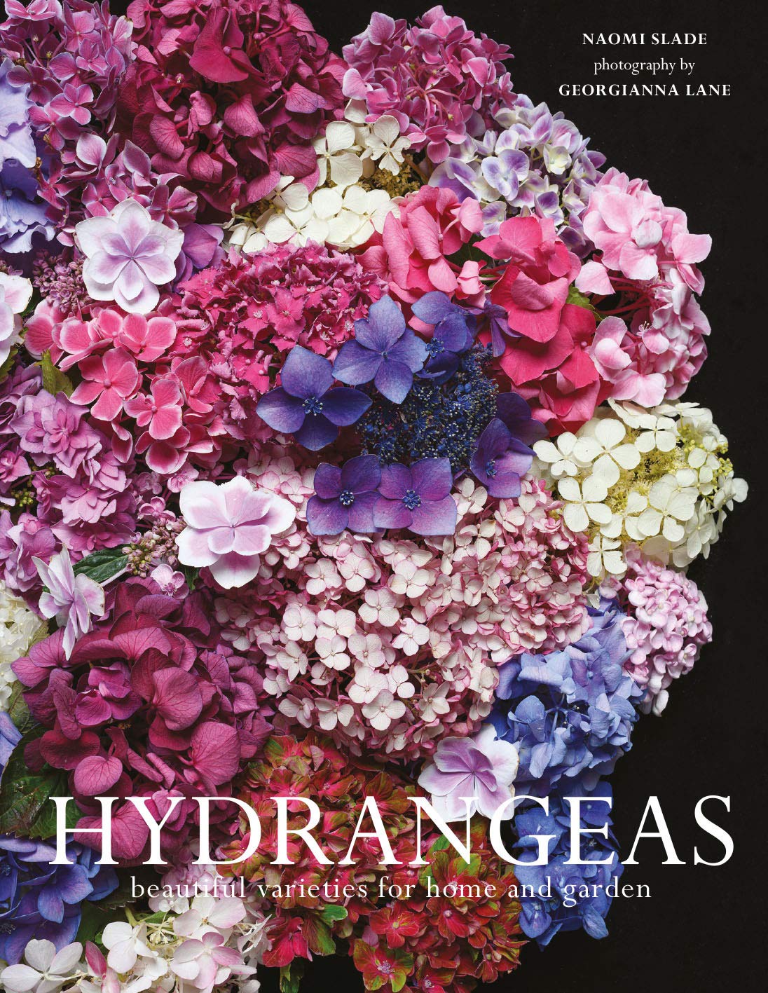 Hydrangeas: The ultimate flower guide for growing, flowering and ...