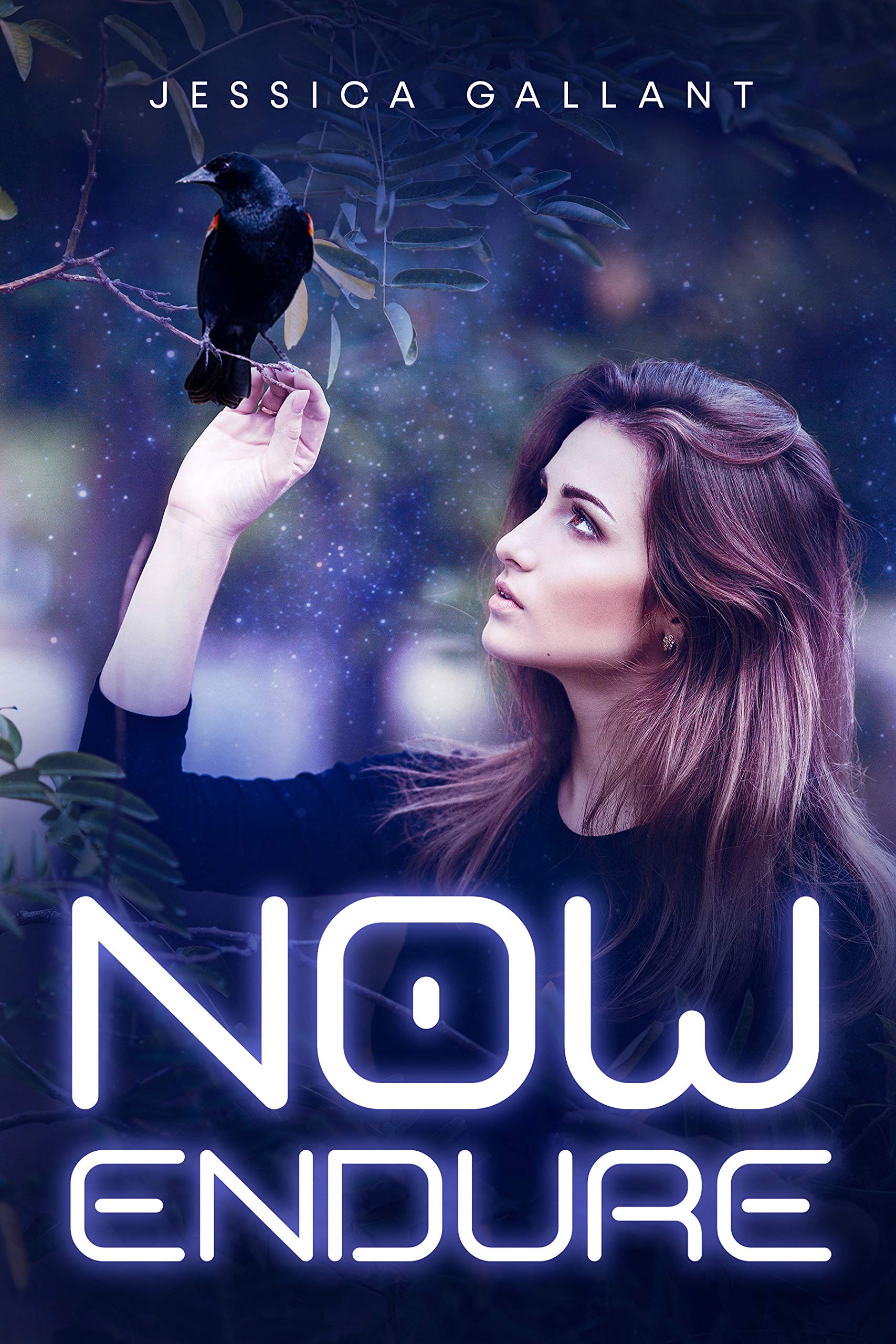 Now Endure by Jessica Gallant | Goodreads