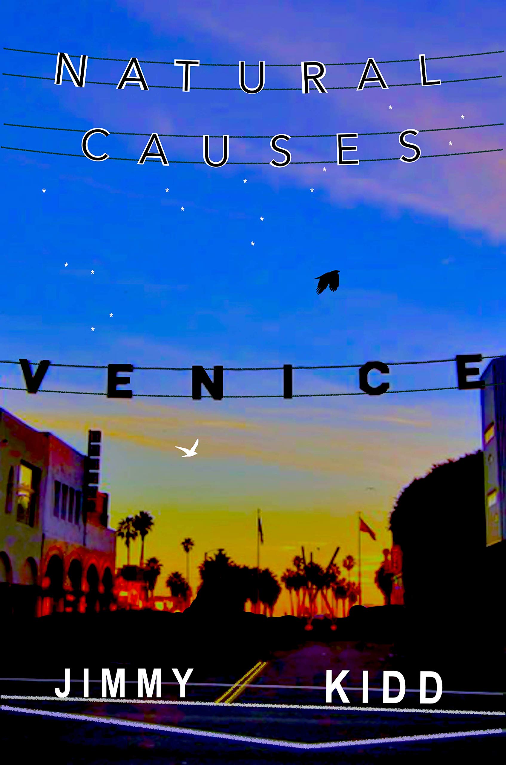 NATURAL CAUSES by Jimmy Kidd | Goodreads