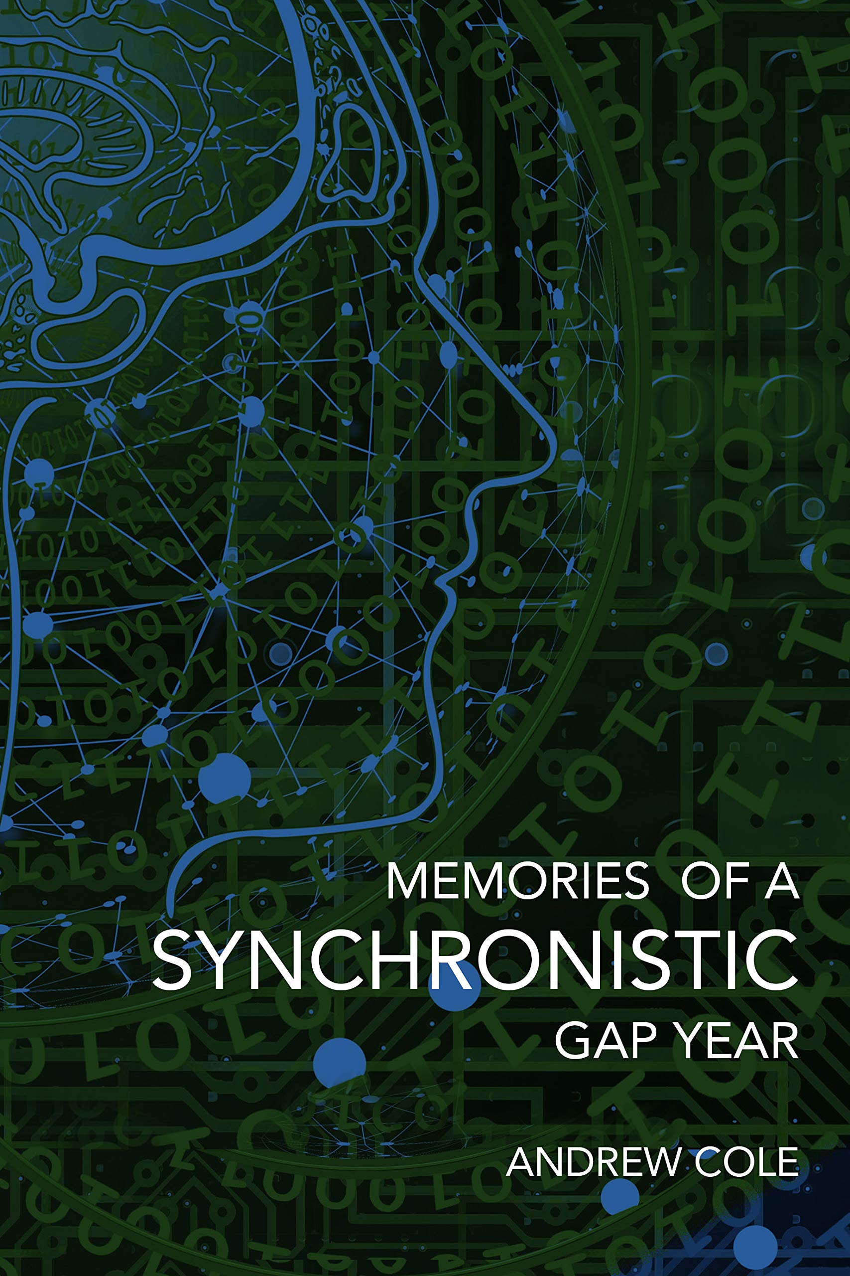 Memories of a Synchronistic Gap Year: Revealed. A true story of a ...