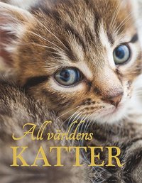 All världens katter by Nicola Jane Swinney | Goodreads