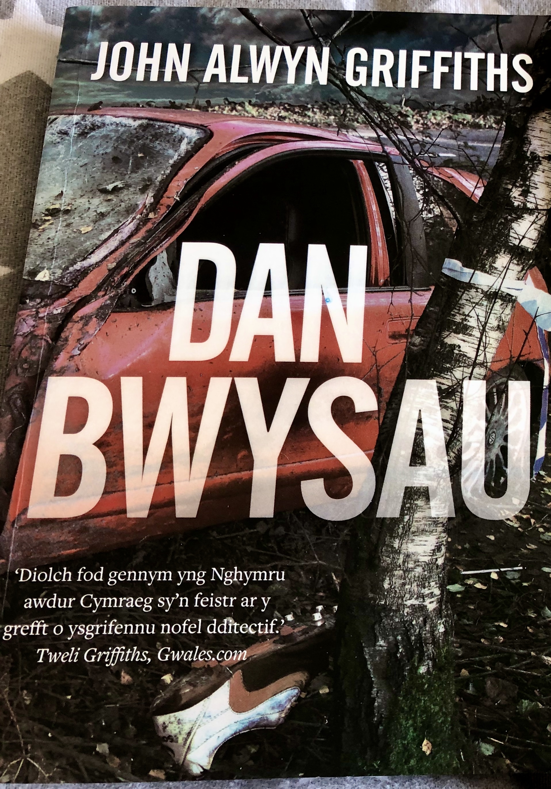 Dan Bwysau by John Alwyn Griffiths | Goodreads