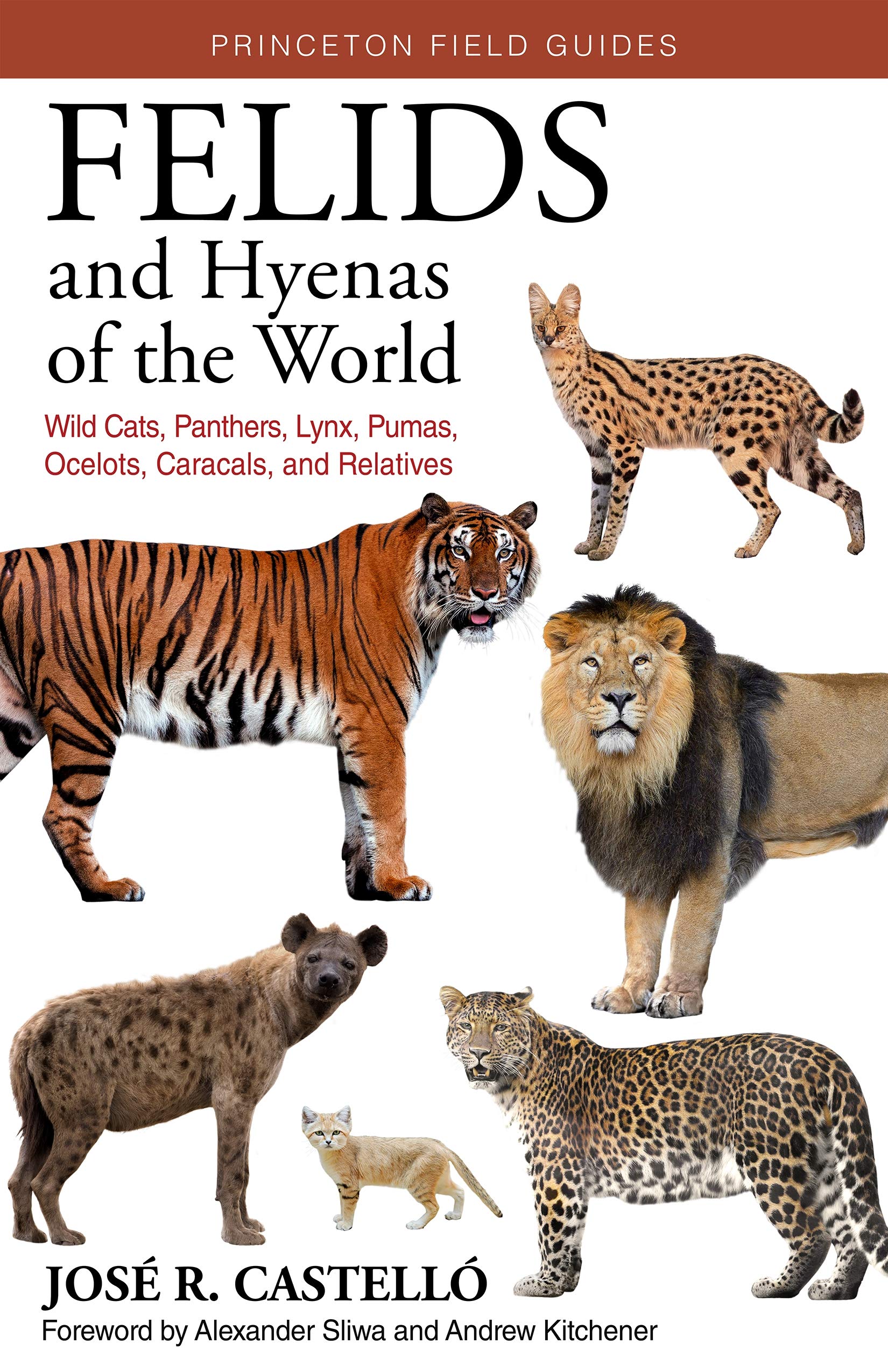 Felids and Hyenas of the World: Wildcats, Panthers, Lynx, Pumas ...