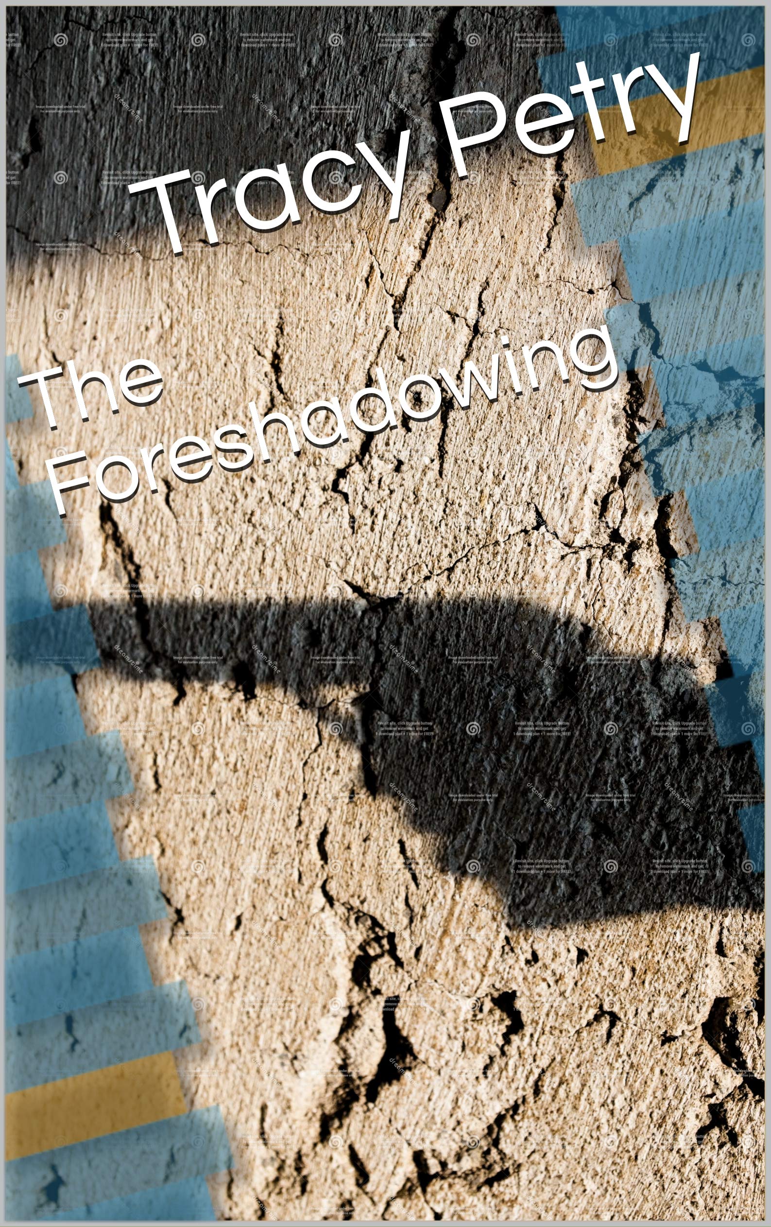 The Foreshadowing (The 101st Book 3) by Tracy Petry | Goodreads