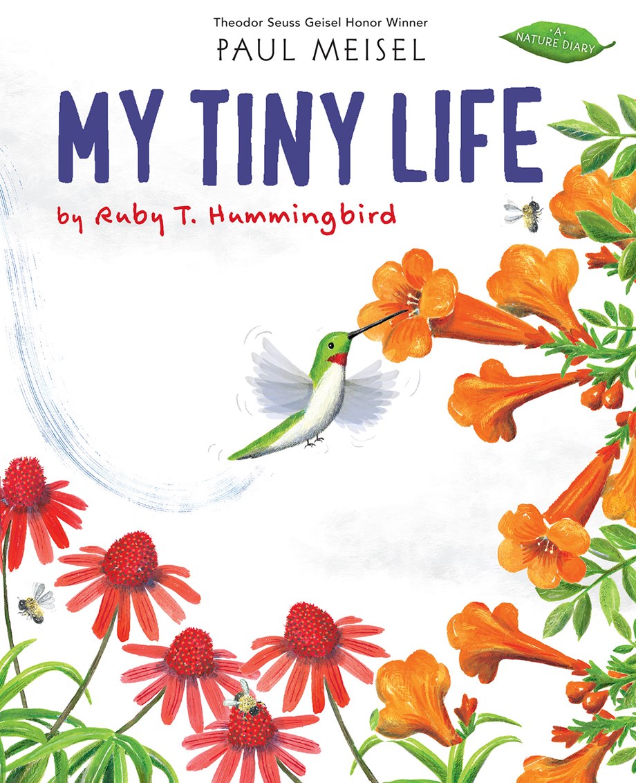 My Tiny Life by Ruby T. Hummingbird by Paul Meisel | Goodreads