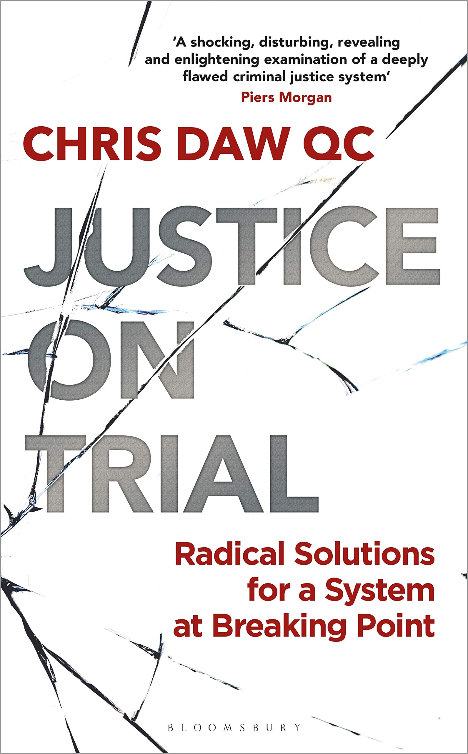 Justice on Trial: Radical Solutions for a System at Breaking Point by ...