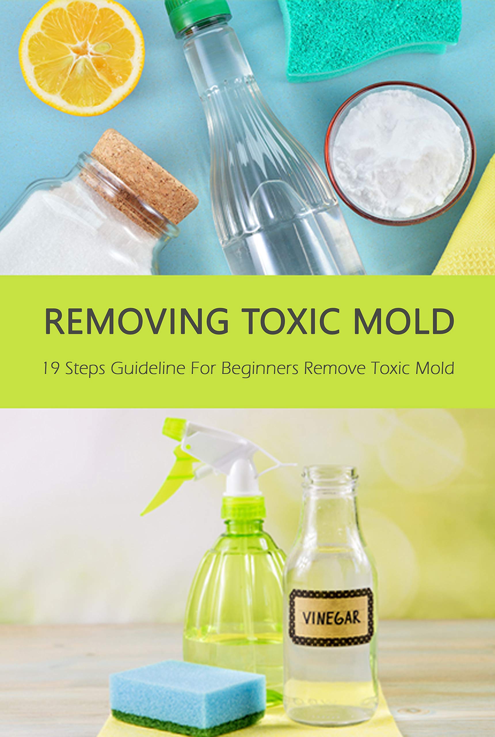 Removing Toxic Mold: 19 Steps Guideline For Beginners Remove Toxic Mold ...