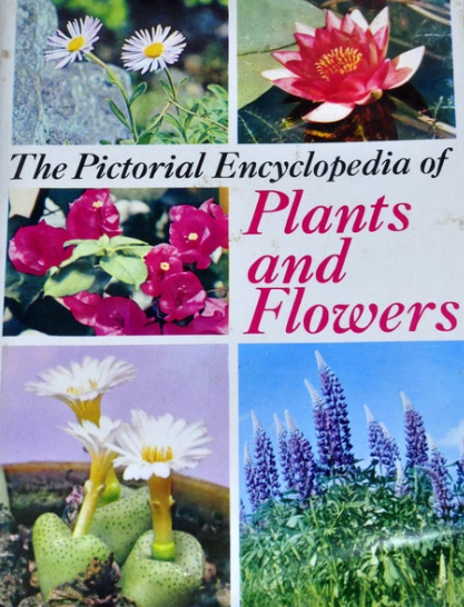 The Pictorial Encyclopedia of Plants and Flowers by F.A. Novák | Goodreads