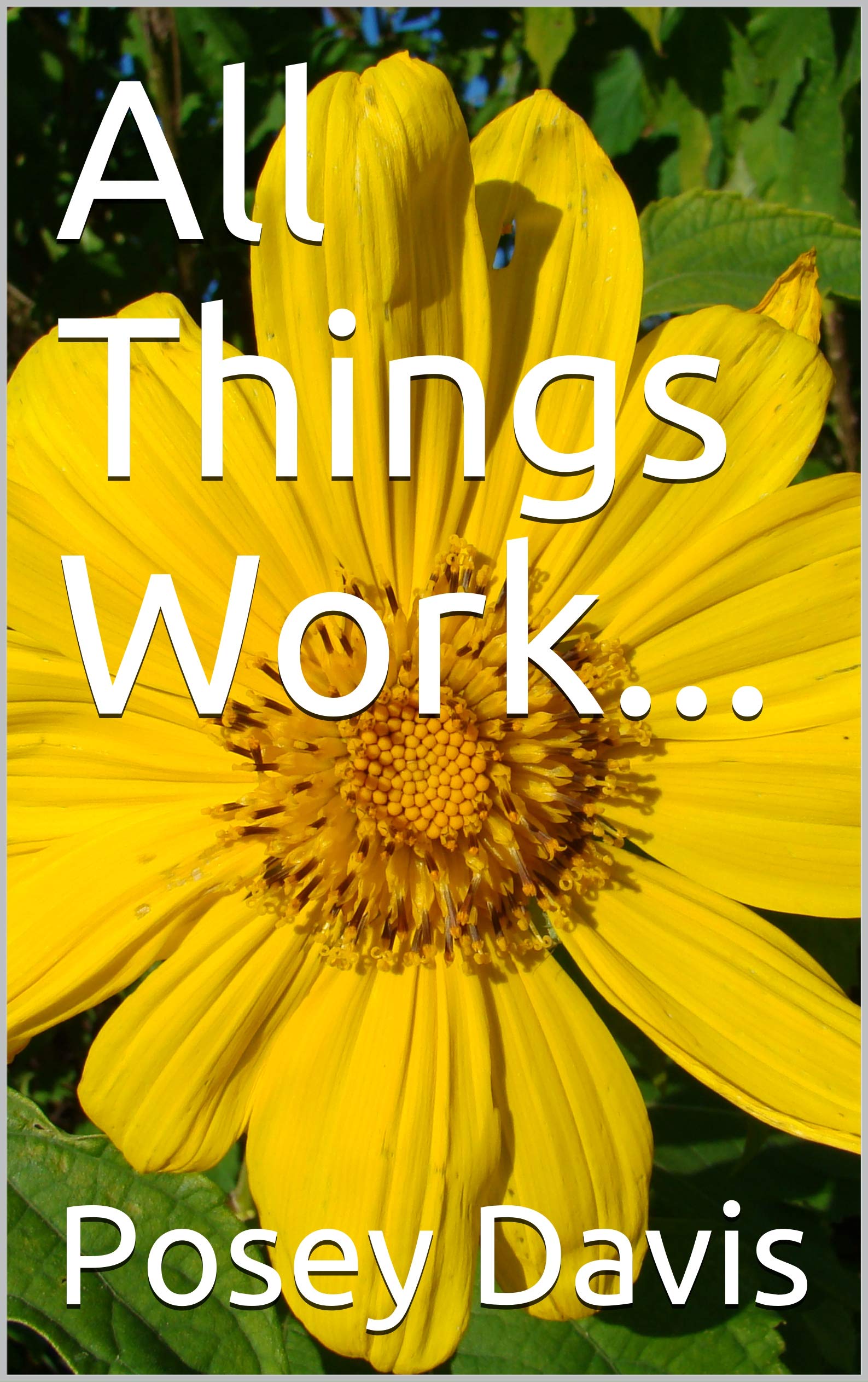 All Things Work... by Posey Davis | Goodreads
