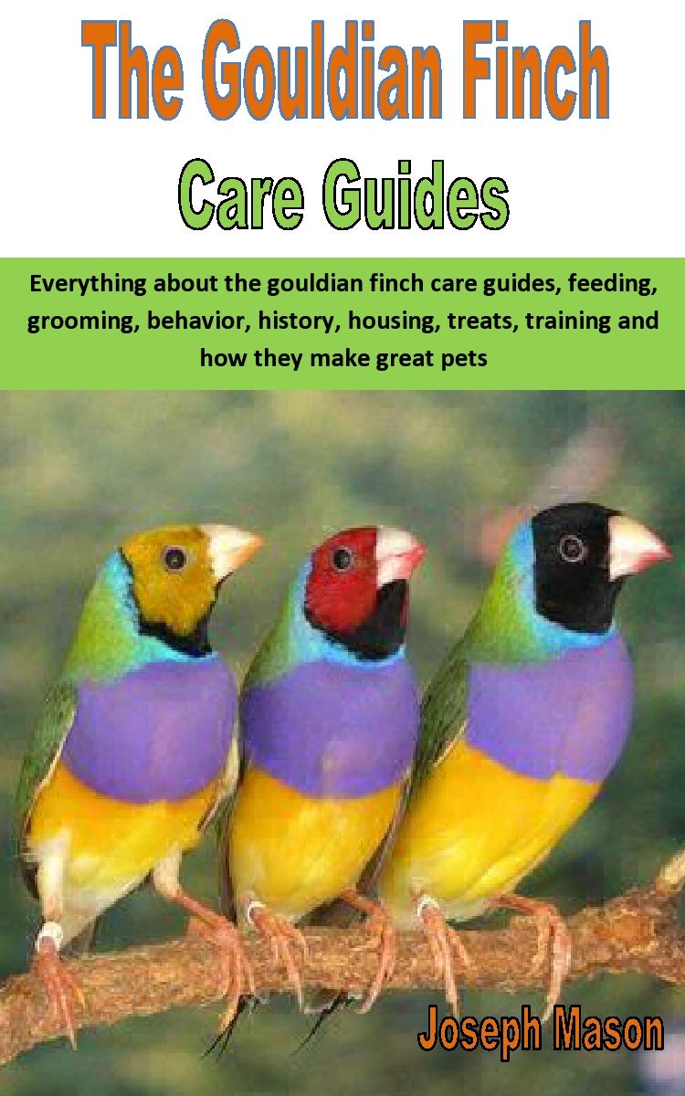 Finch Care And Feeding