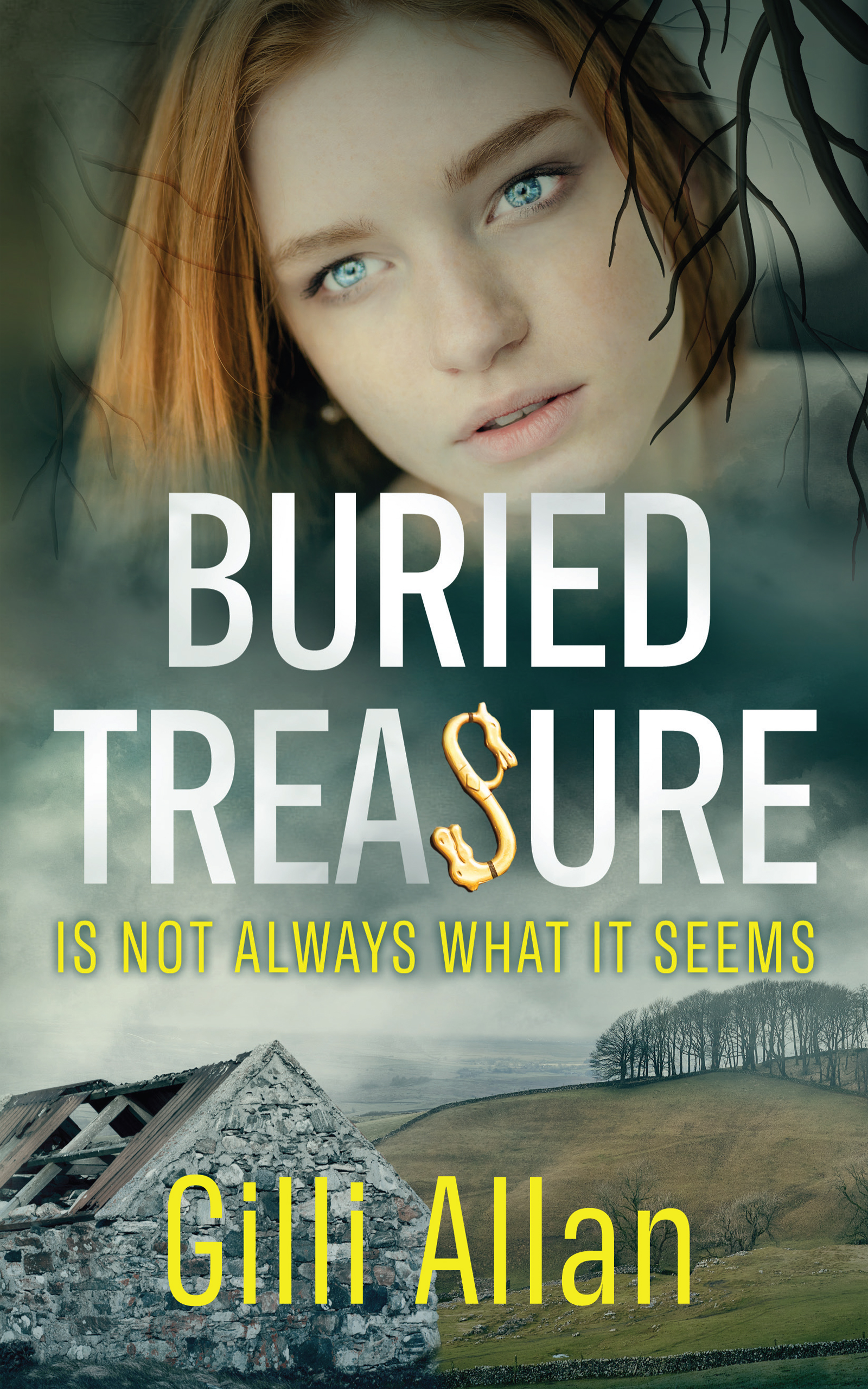 Buried Treasure: is Not Always What It Seems by Gilli Allan | Goodreads