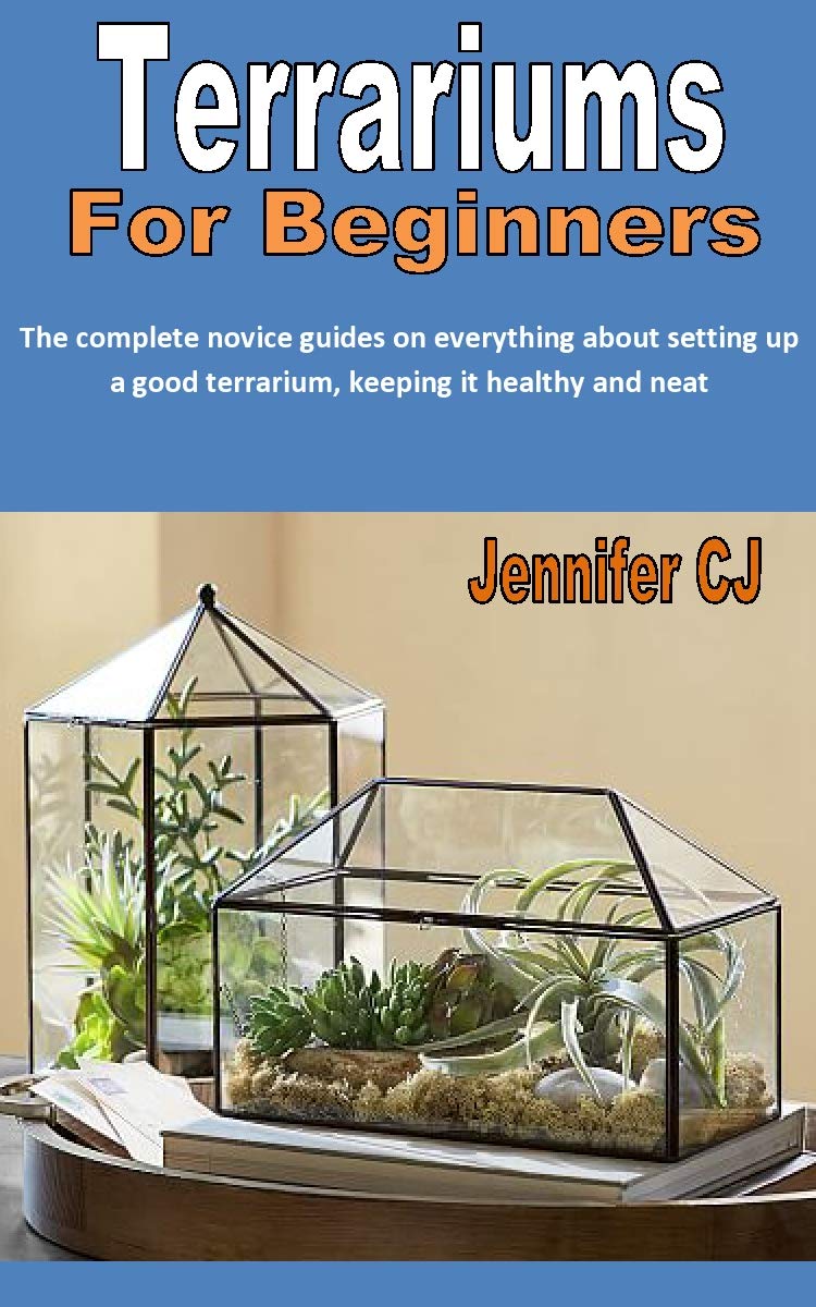 Terrarium Beginner Guide at Kelly Carson blog