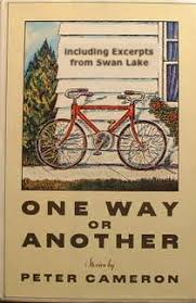 Excerpts from Swan Lake by Peter Cameron | Goodreads