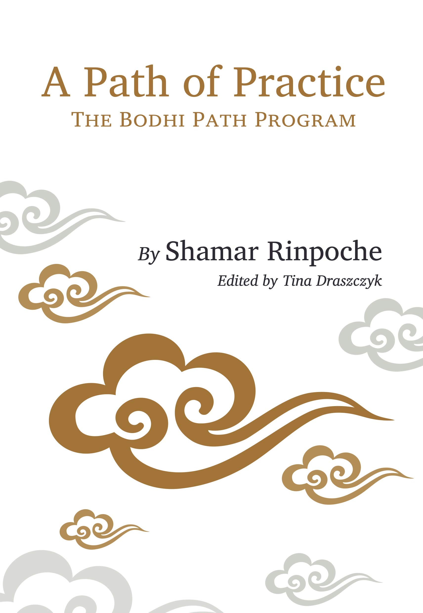 A Path of Practice: The Bodhi Path Program by Shamar Rinpoché | Goodreads