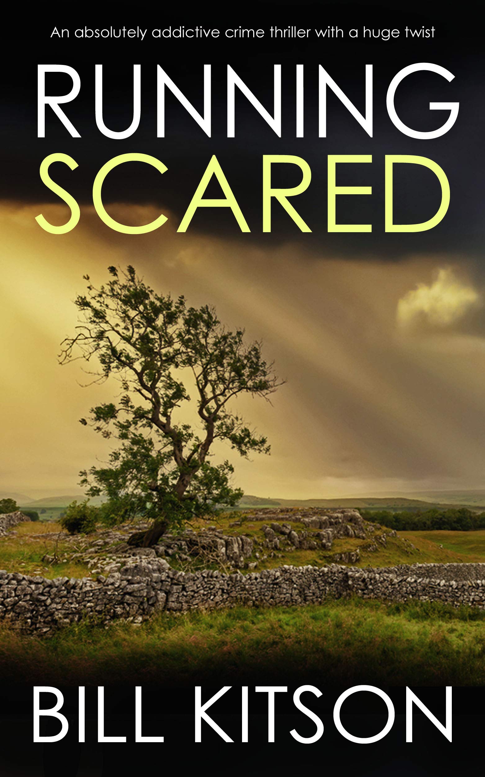 Running Scared (DI Mike Nash #10) by Bill Kitson | Goodreads