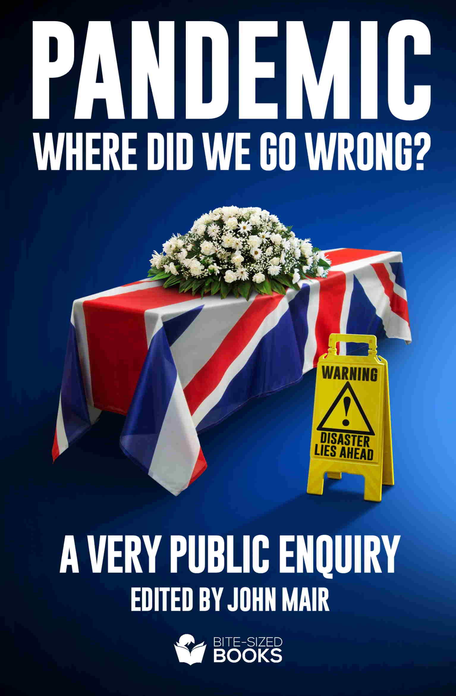 Pandemic Where Did We Go Wrong?: A Very Public Inquiry by John Mair ...