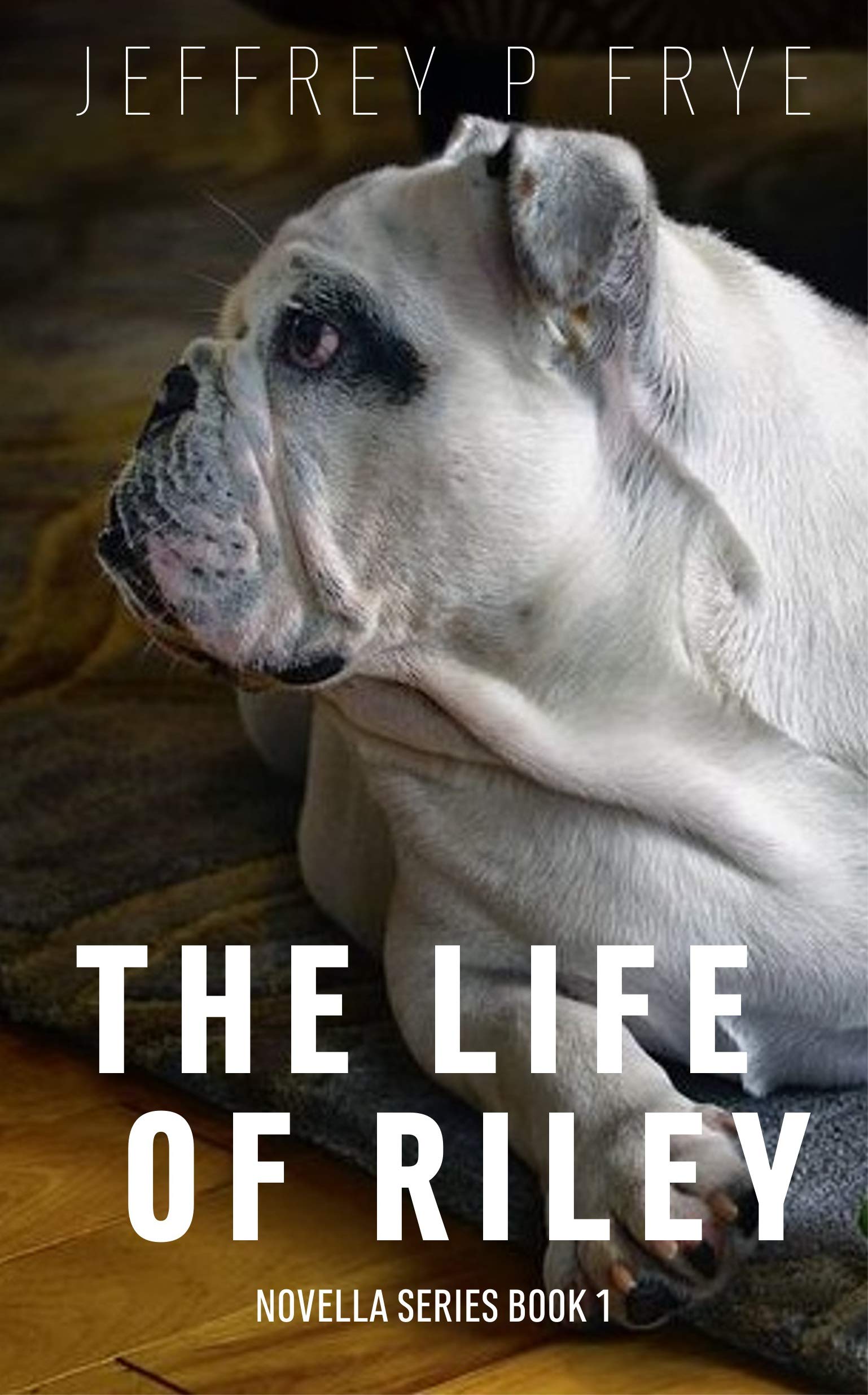 The Life of Riley by Jeffrey P. Frye | Goodreads