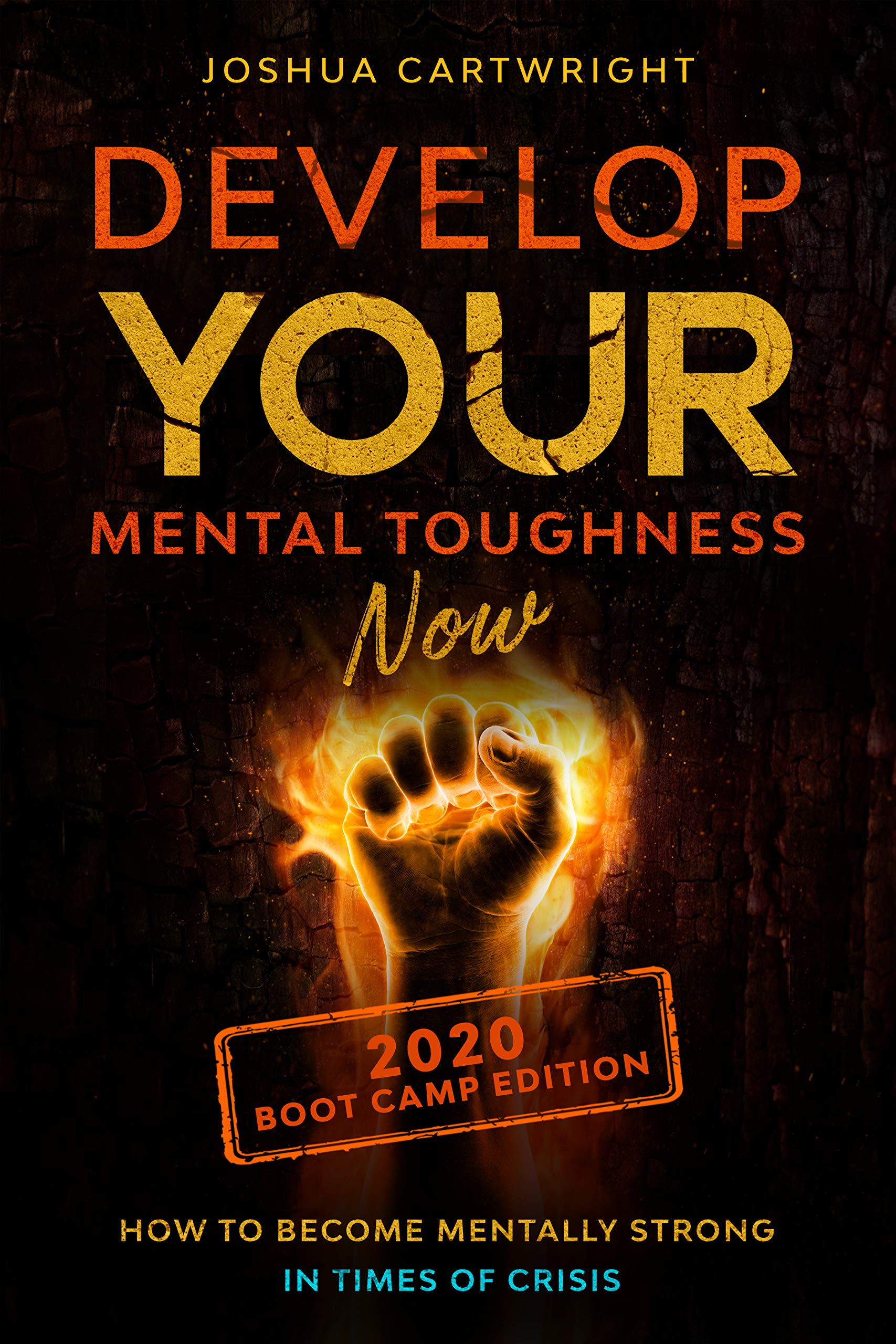 Develop Your Mental Toughness NOW: How to become mentally strong in ...