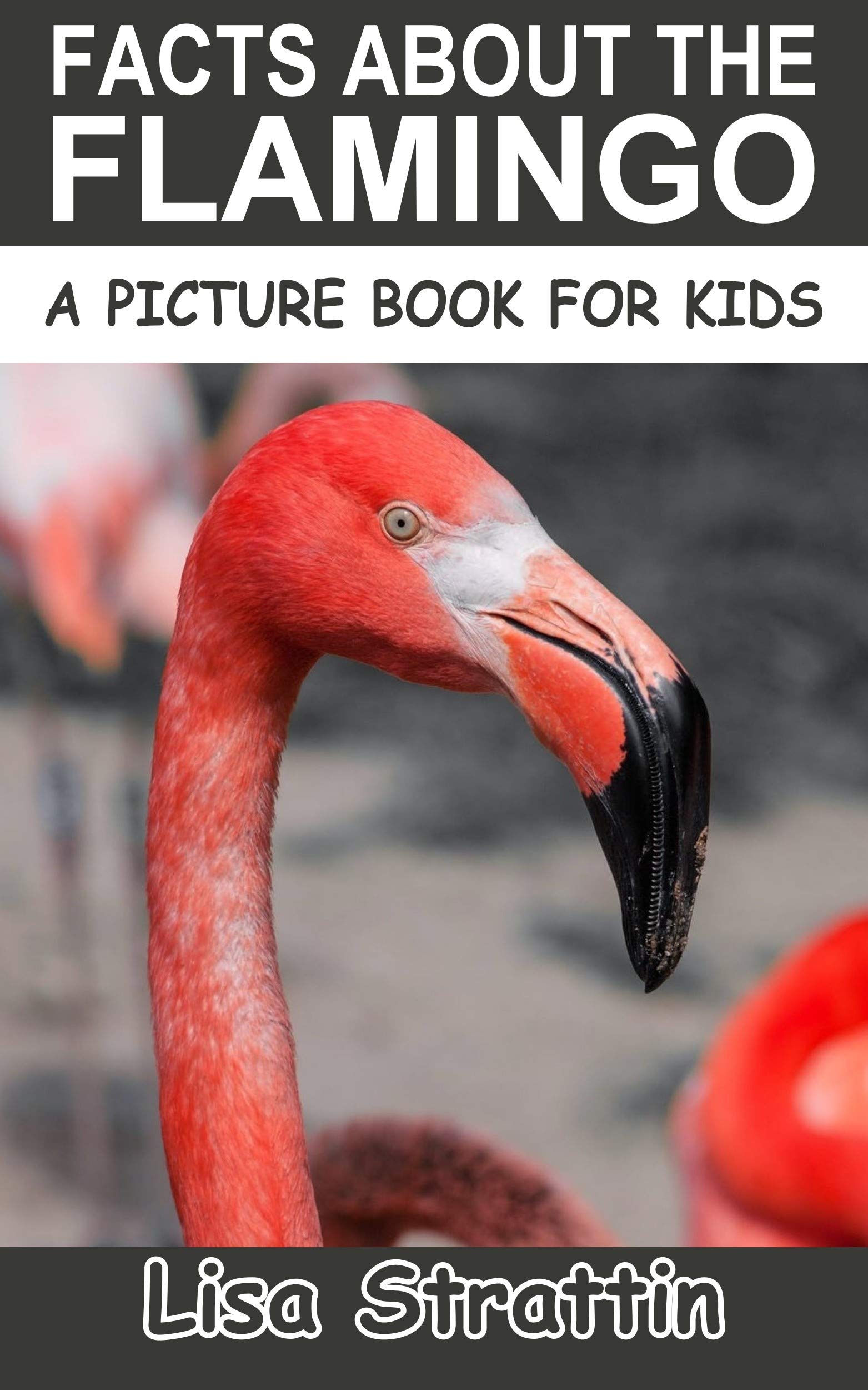 Facts About the Flamingo by Lisa Strattin | Goodreads