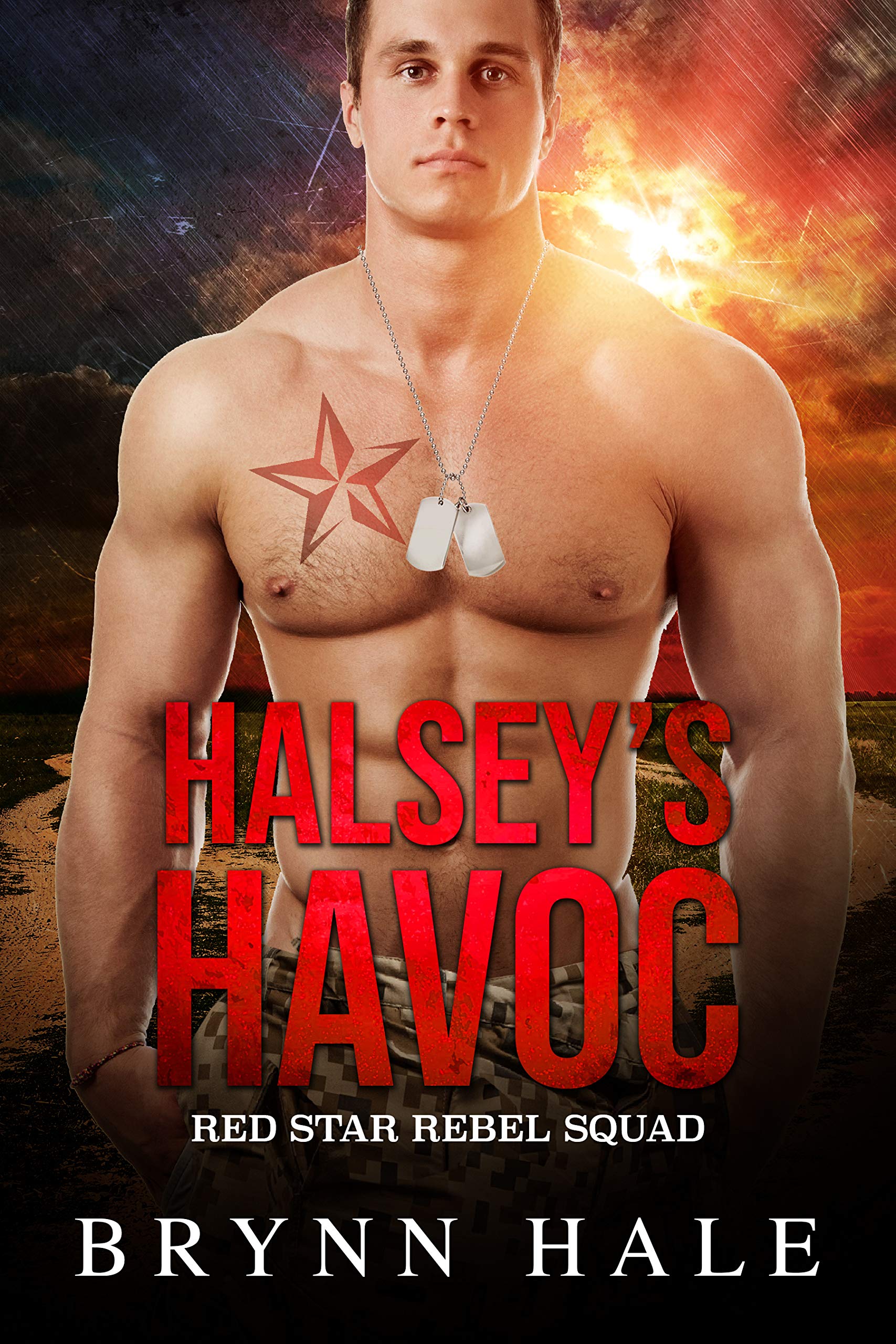 Halsey's Havoc by Brynn Hale | Goodreads