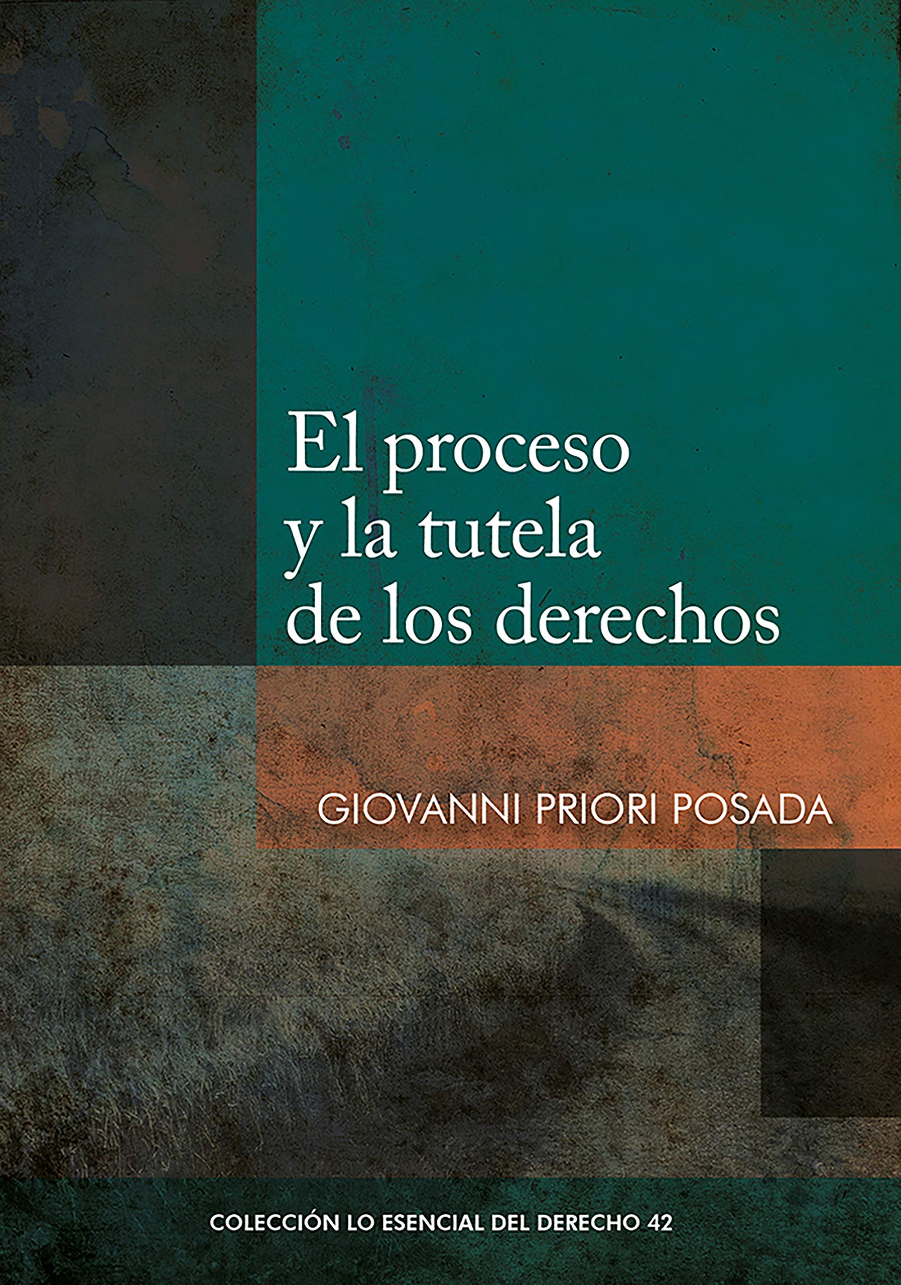 El proceso y la tutela de los derechos (Colección Lo Esencial del ...