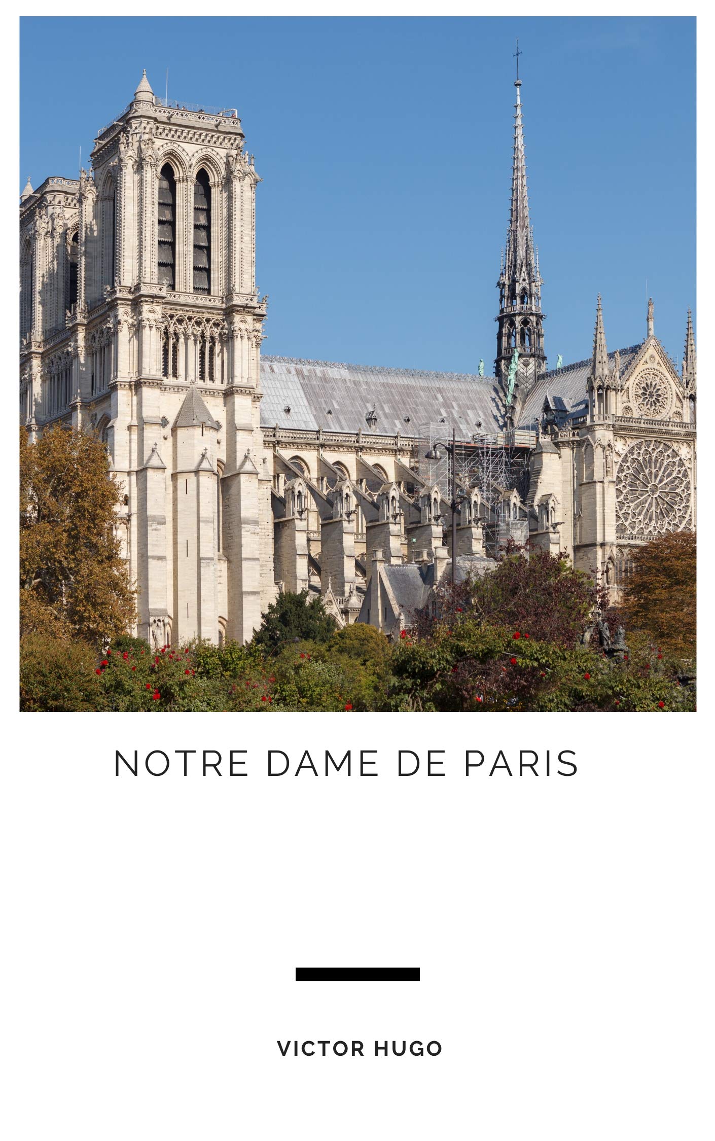 Notre Dame de Paris (illustrated) by Victor Hugo | Goodreads