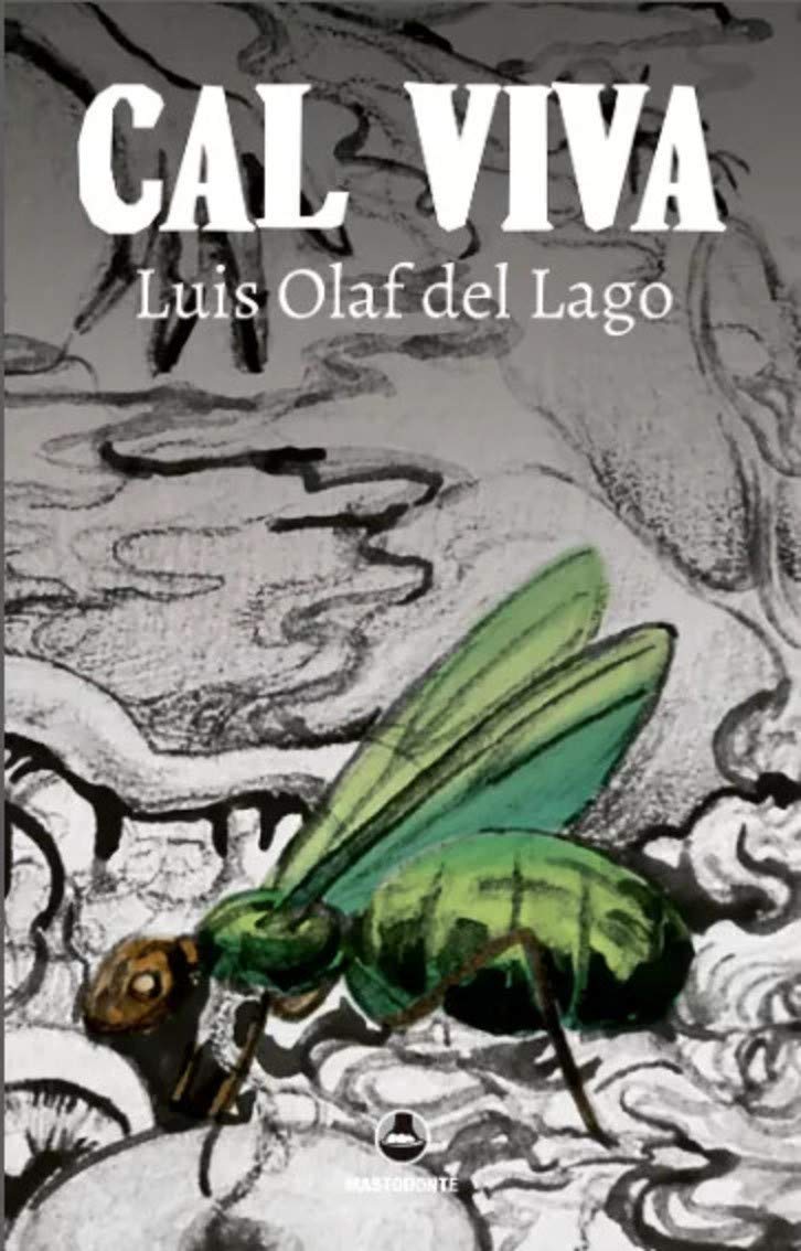 CAL VIVA (Spanish Edition) by Luis Olaf del Lago | Goodreads