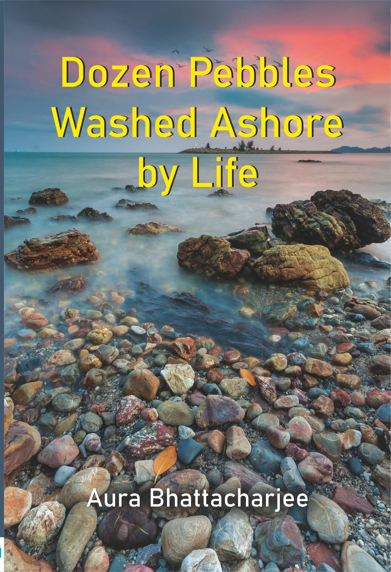 Dozen Pebbles Washed Ashore by Life by Aura Bhattacharjee | Goodreads