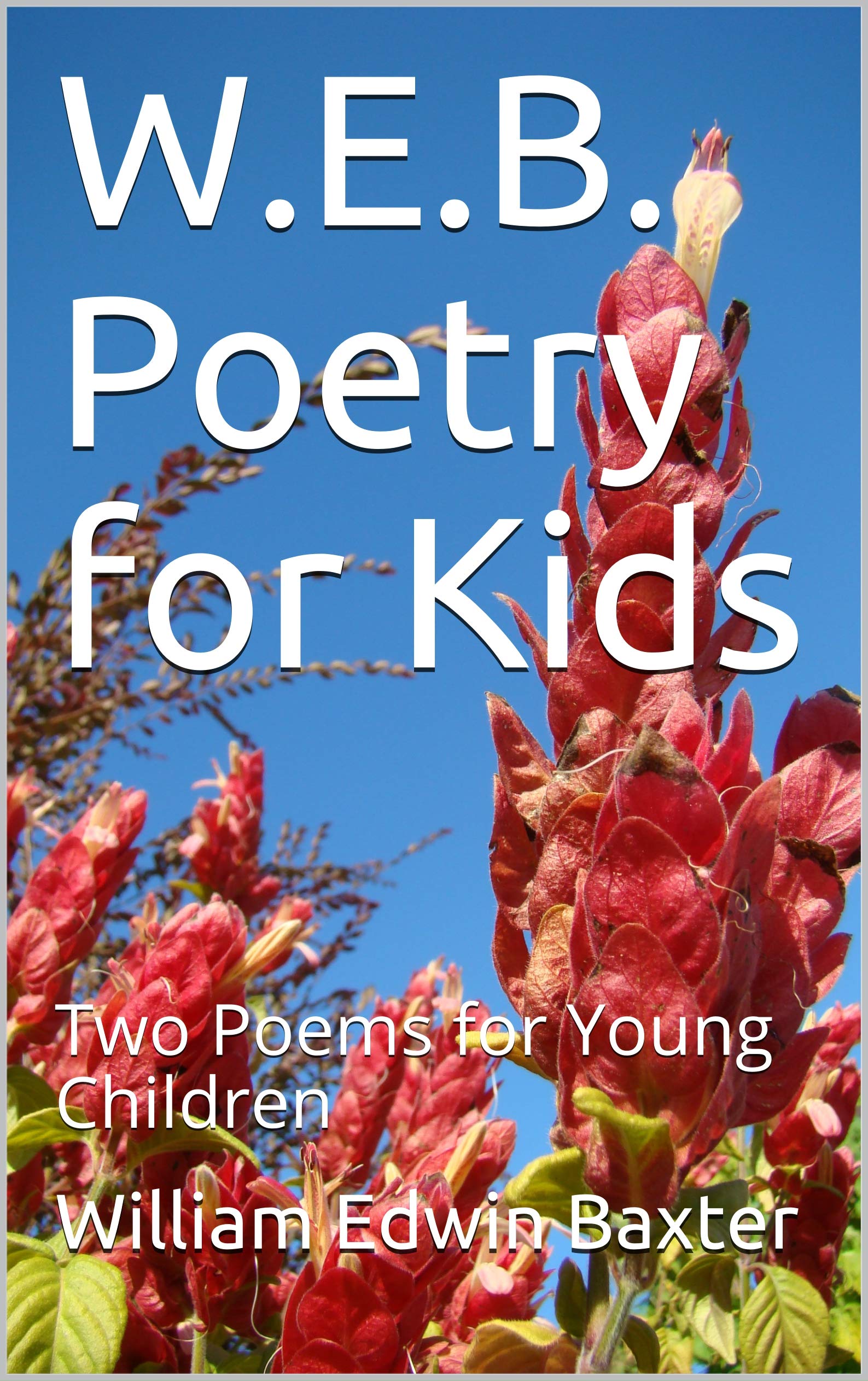 W.E.B. Poetry for Kids: Two Poems for Young Children by William Edwin ...