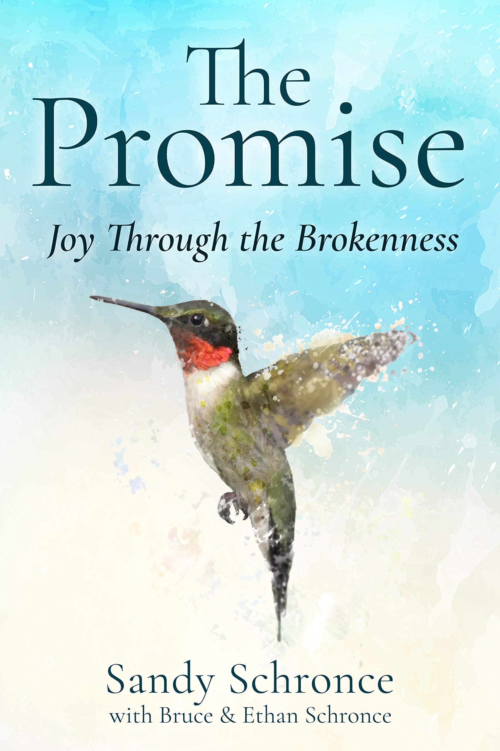 The Promise: Joy Through the Brokenness by Sandy Schronce | Goodreads