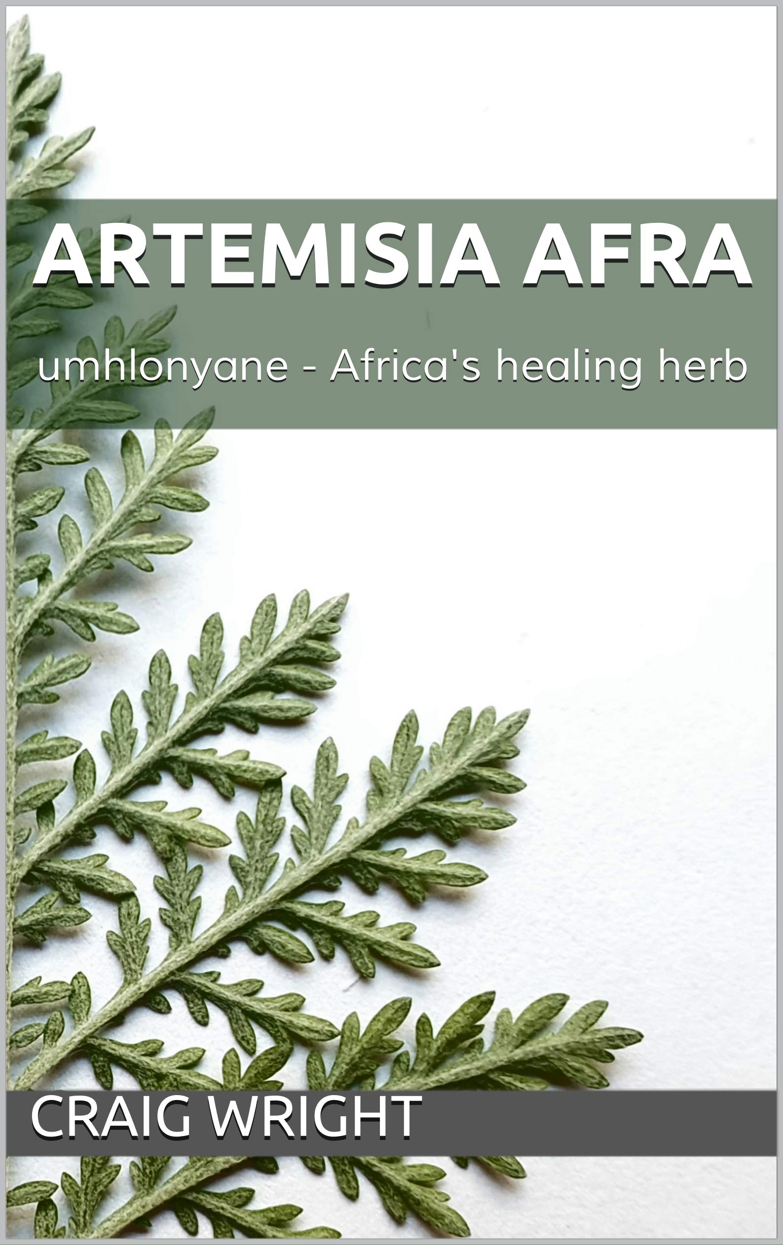 Artemisia afra: umhlonyane - Africa's healing herb by Craig Wright ...