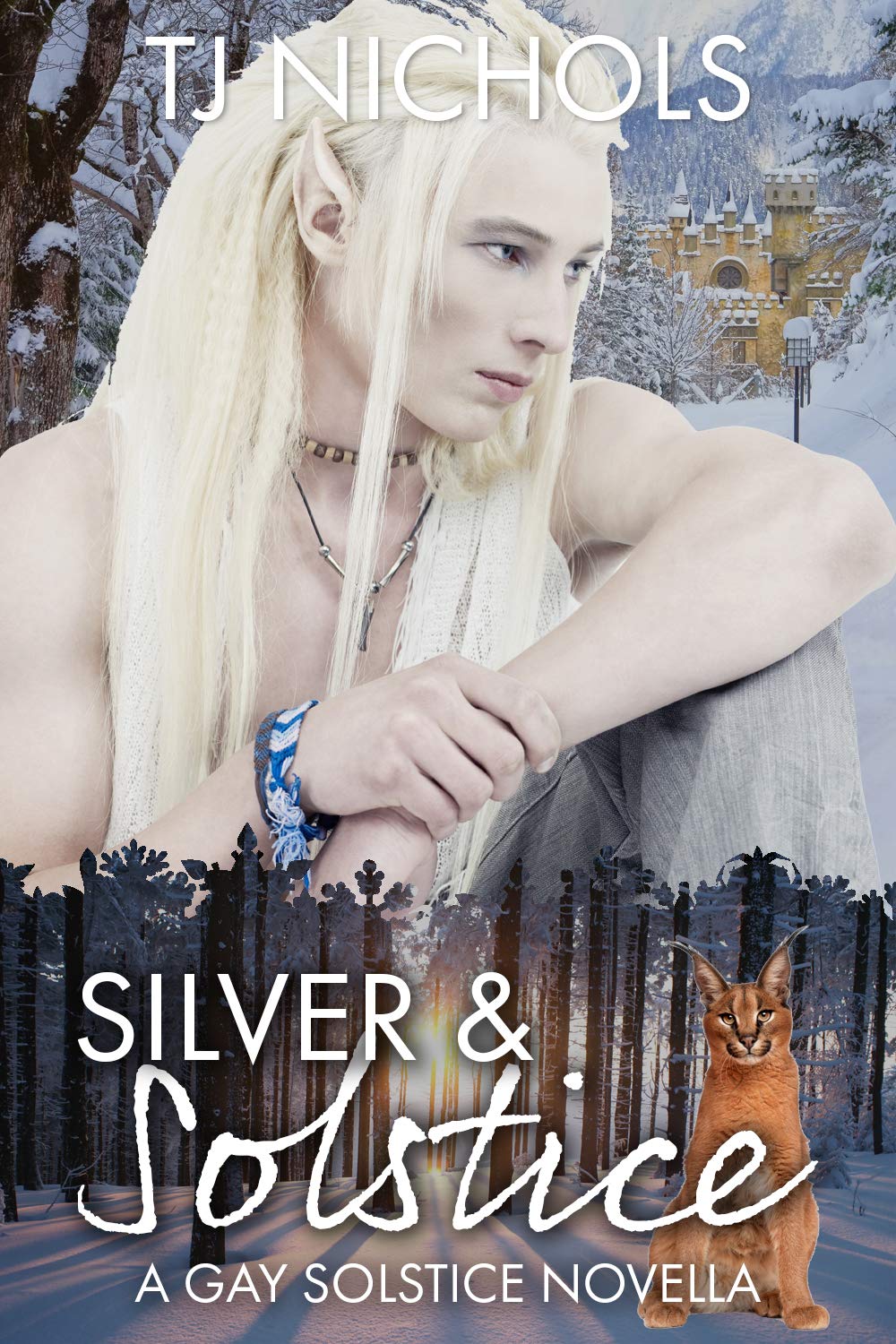 Silver & Solstice by T.J. Nichols | Goodreads