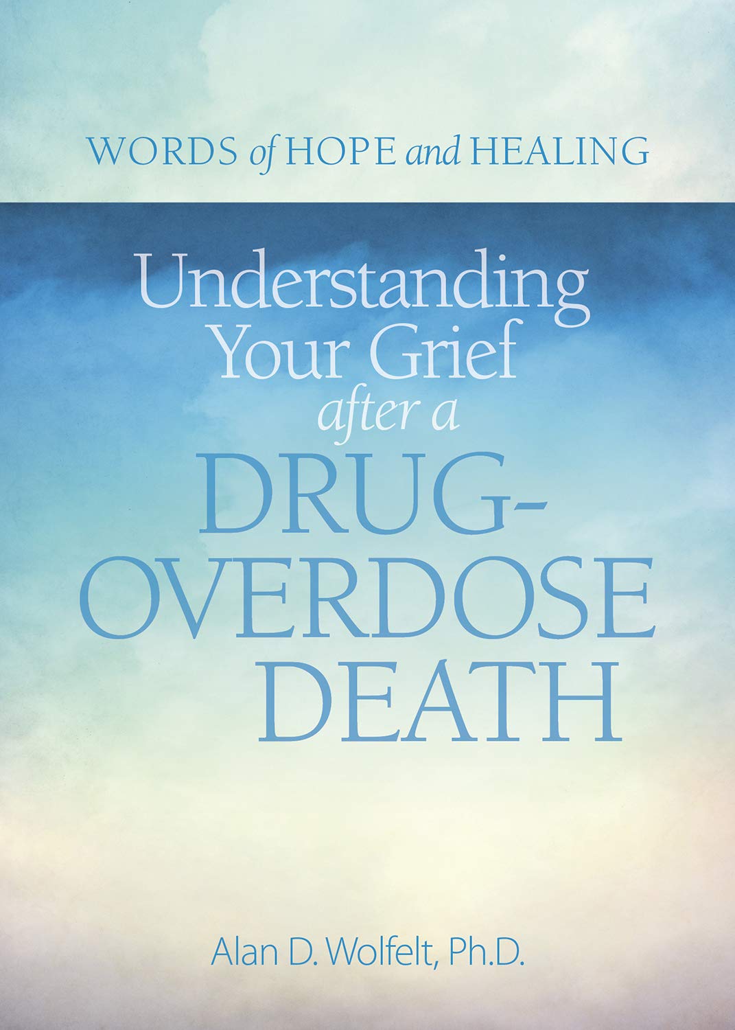 Understanding Your Grief after a Drug-Overdose Death by Alan D. Wolfelt ...