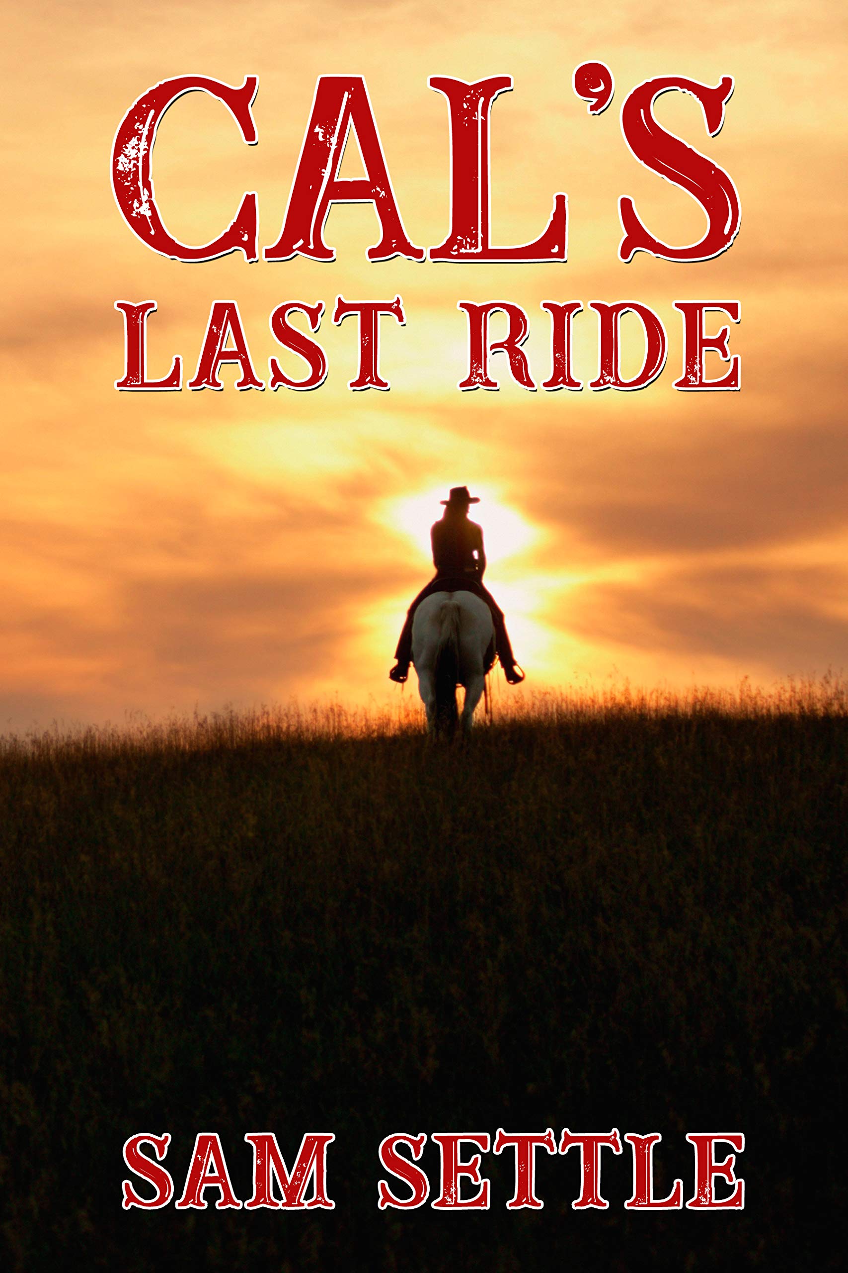 Cal’s Last Ride (Cal Rivers Book 7) by Sam Settle | Goodreads