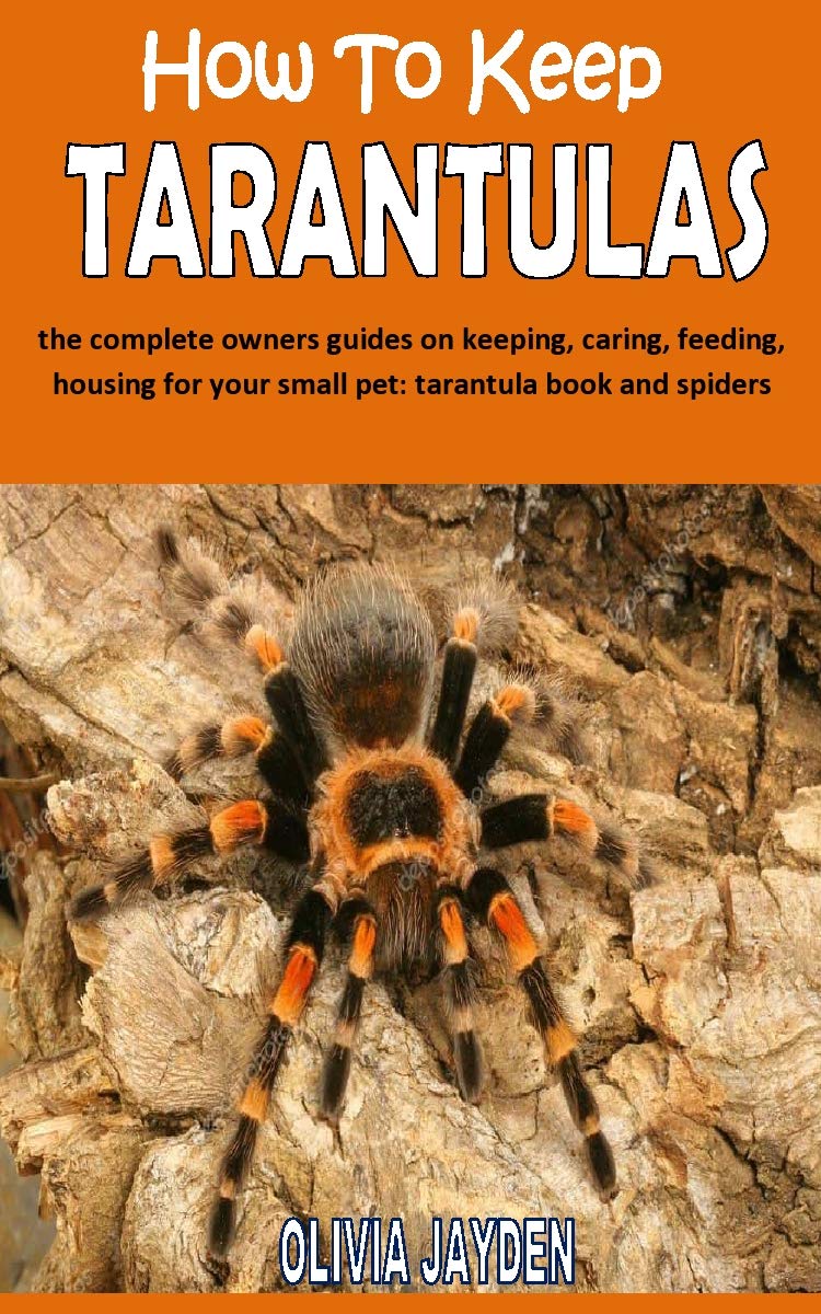 HOW TO KEEP TARANTULAS: the complete owners guides on keeping, caring ...