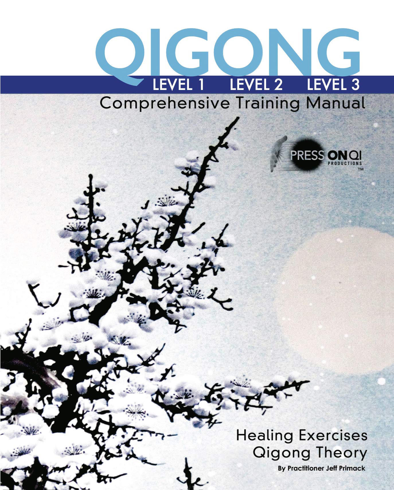 Qigong Comprehensive Training Manual: Level-1, Level-2, Level-3 by Jeff ...