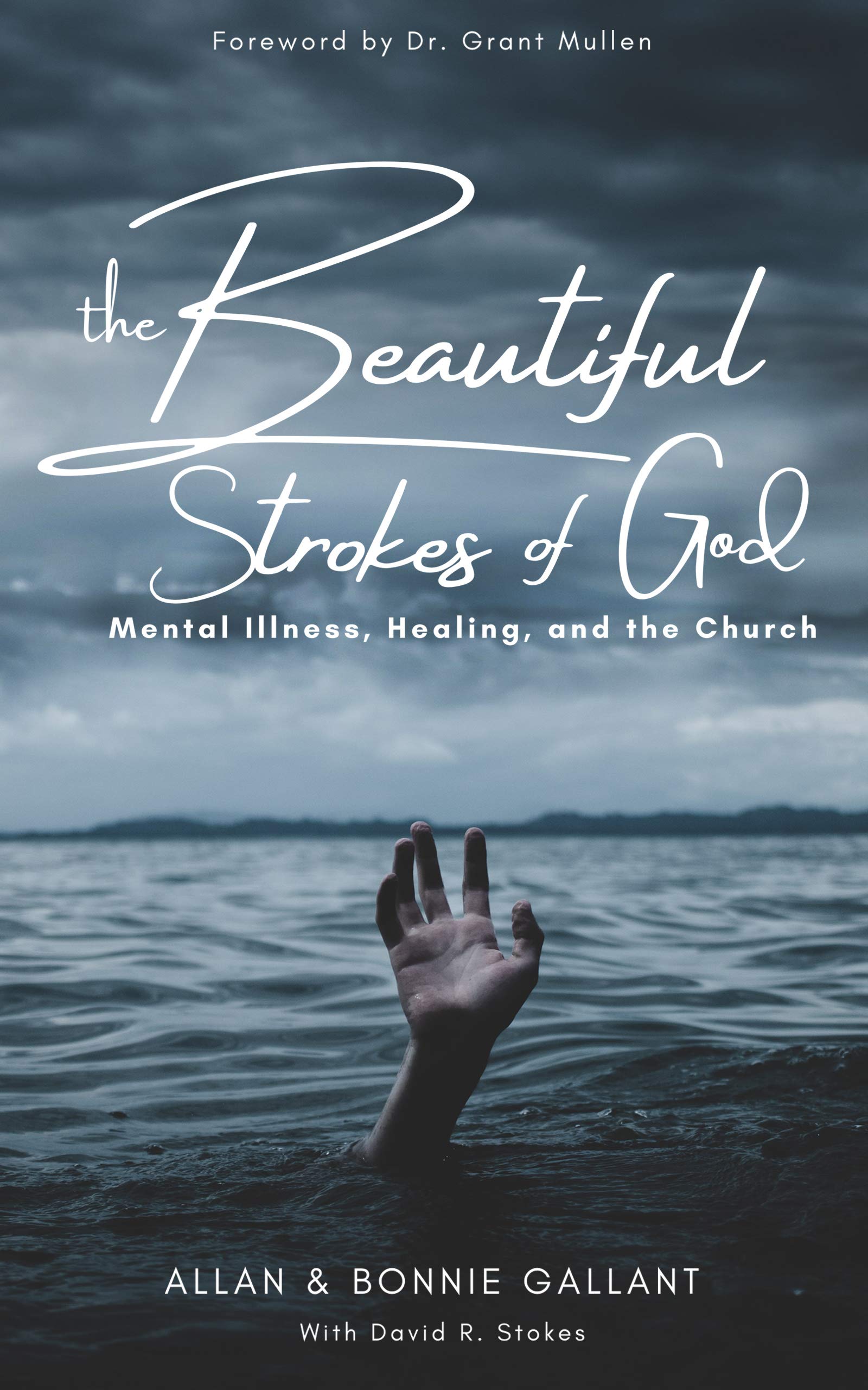 The Beautiful Strokes of God: Mental Illness, Healing, and the Church ...