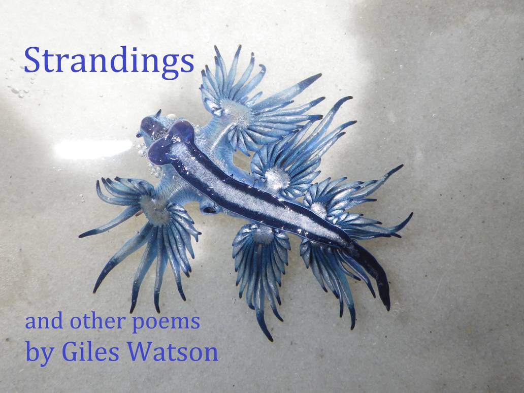 Strandings by Giles Watson | Goodreads