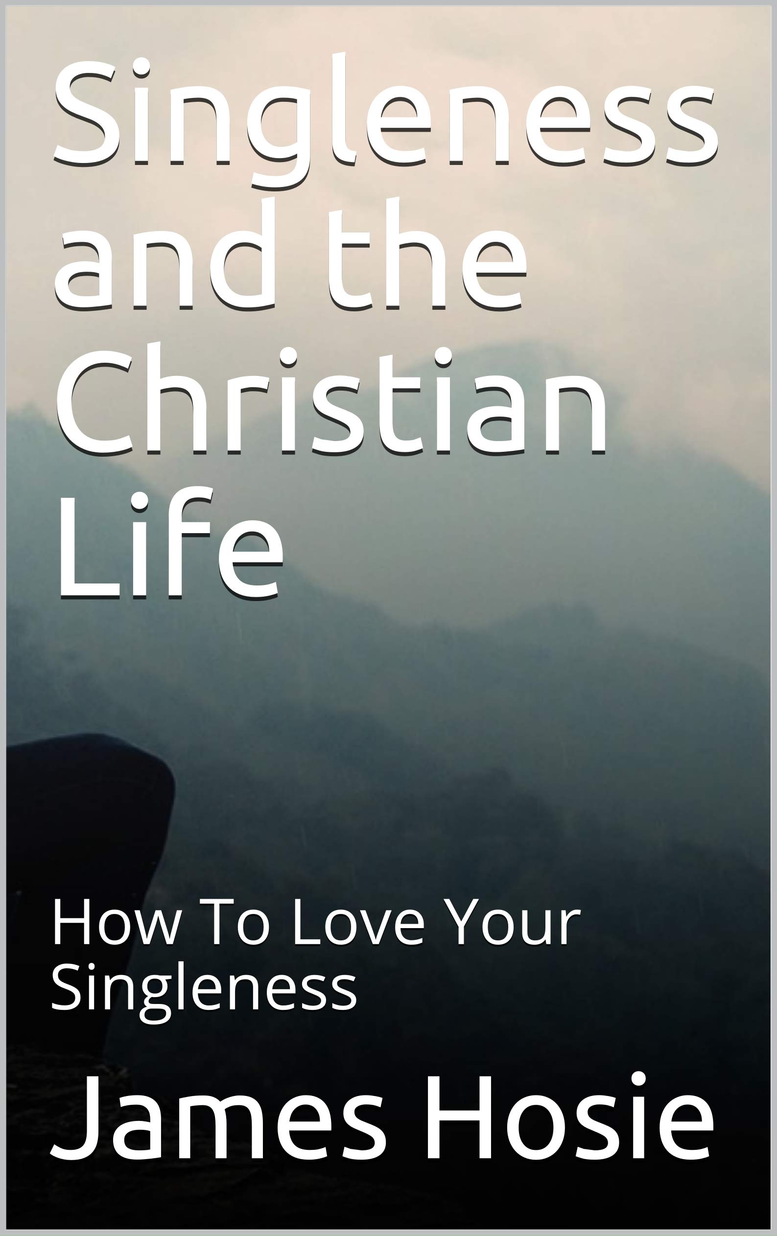 Singleness and the Christian Life: How To Love Your Singleness by James ...