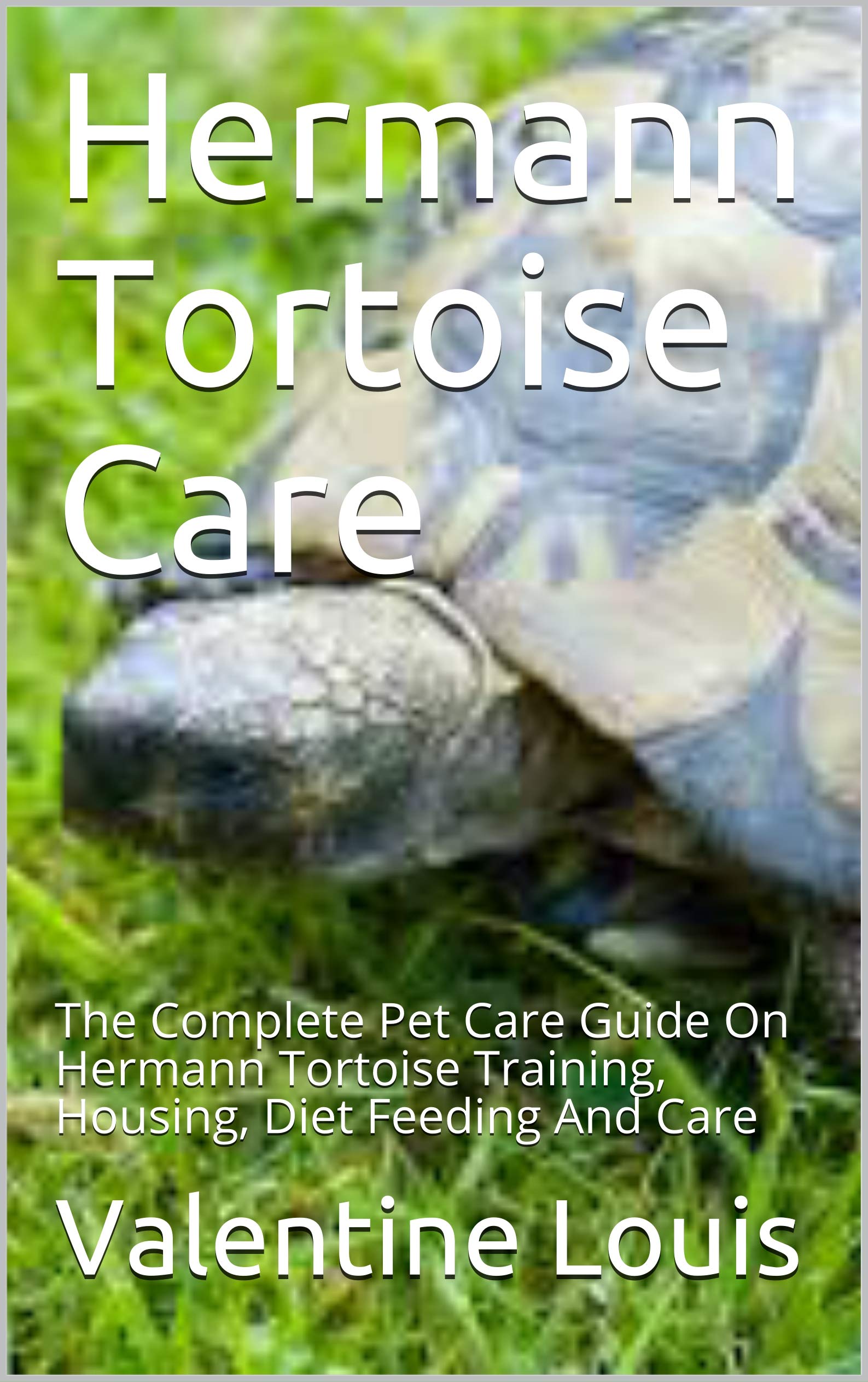 Hermann’S Tortoise Care Guide – Hermann’s Tortoise Care: Diet, Habitat ...