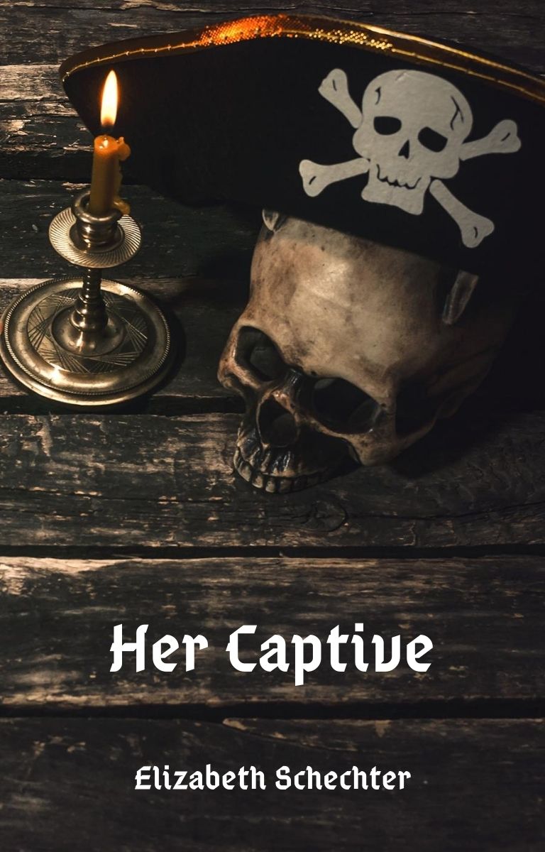 Her Captive by Elizabeth Schechter | Goodreads