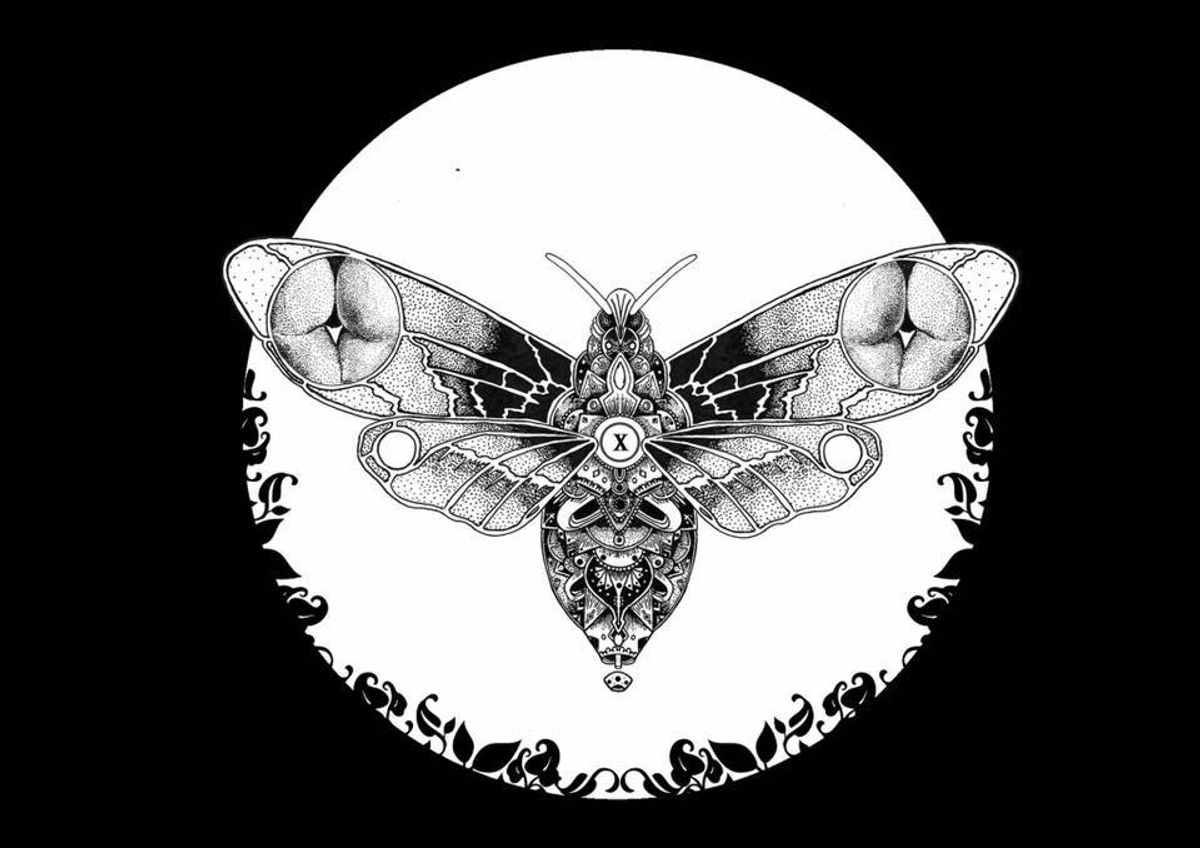 Moth by Hallie Fletcher | Goodreads