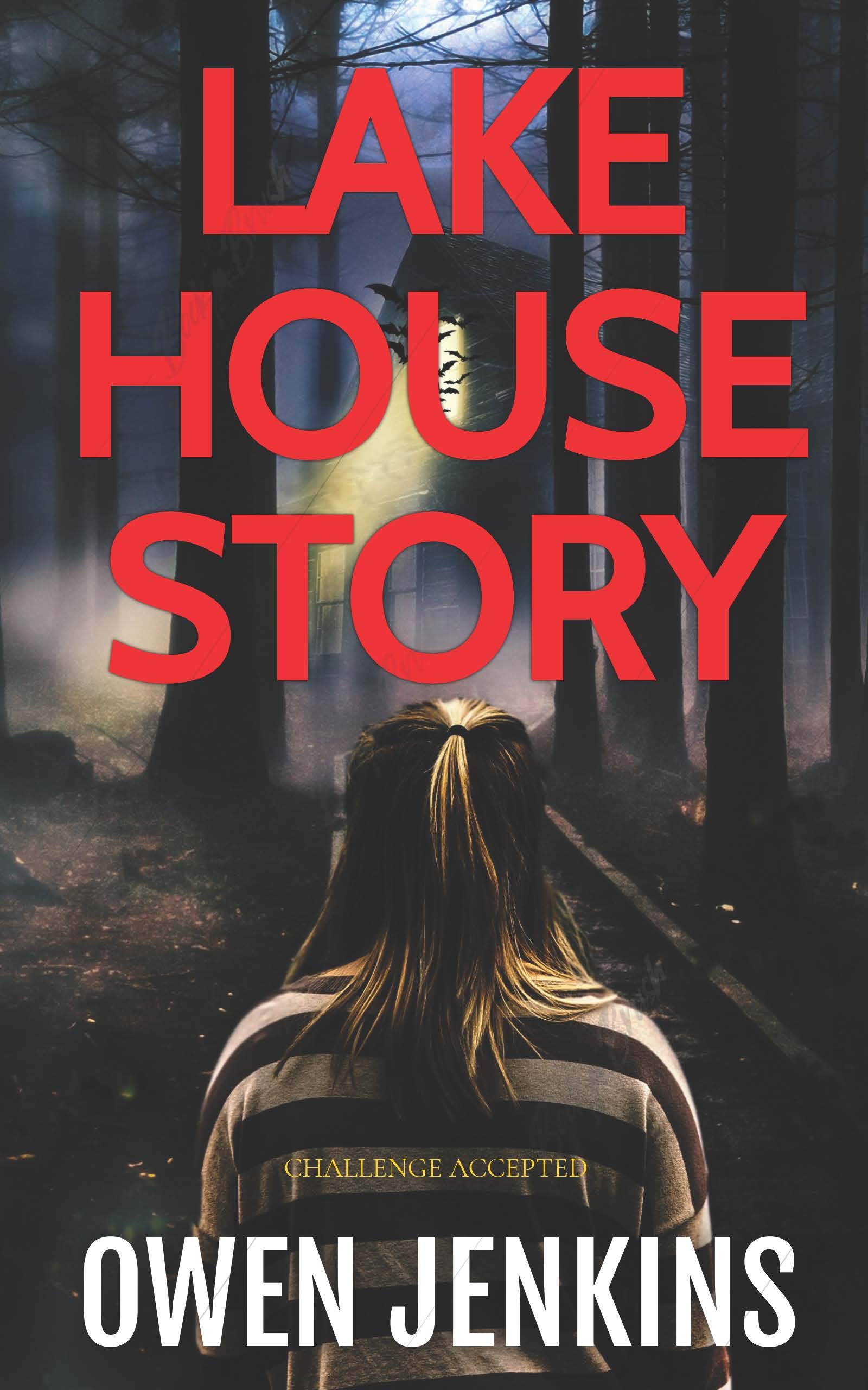 The Lake House Story: What will happen when you accept the challenge of ...