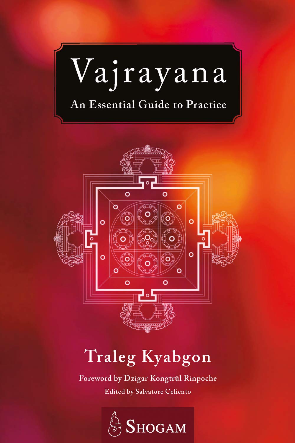 Vajrayana: An Essential Guide To Practice by Traleg Kyabgon | Goodreads