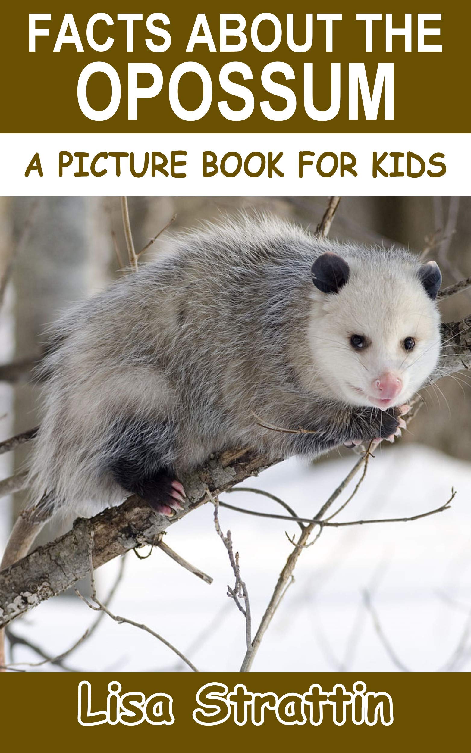Facts About the Opossum by Lisa Strattin | Goodreads