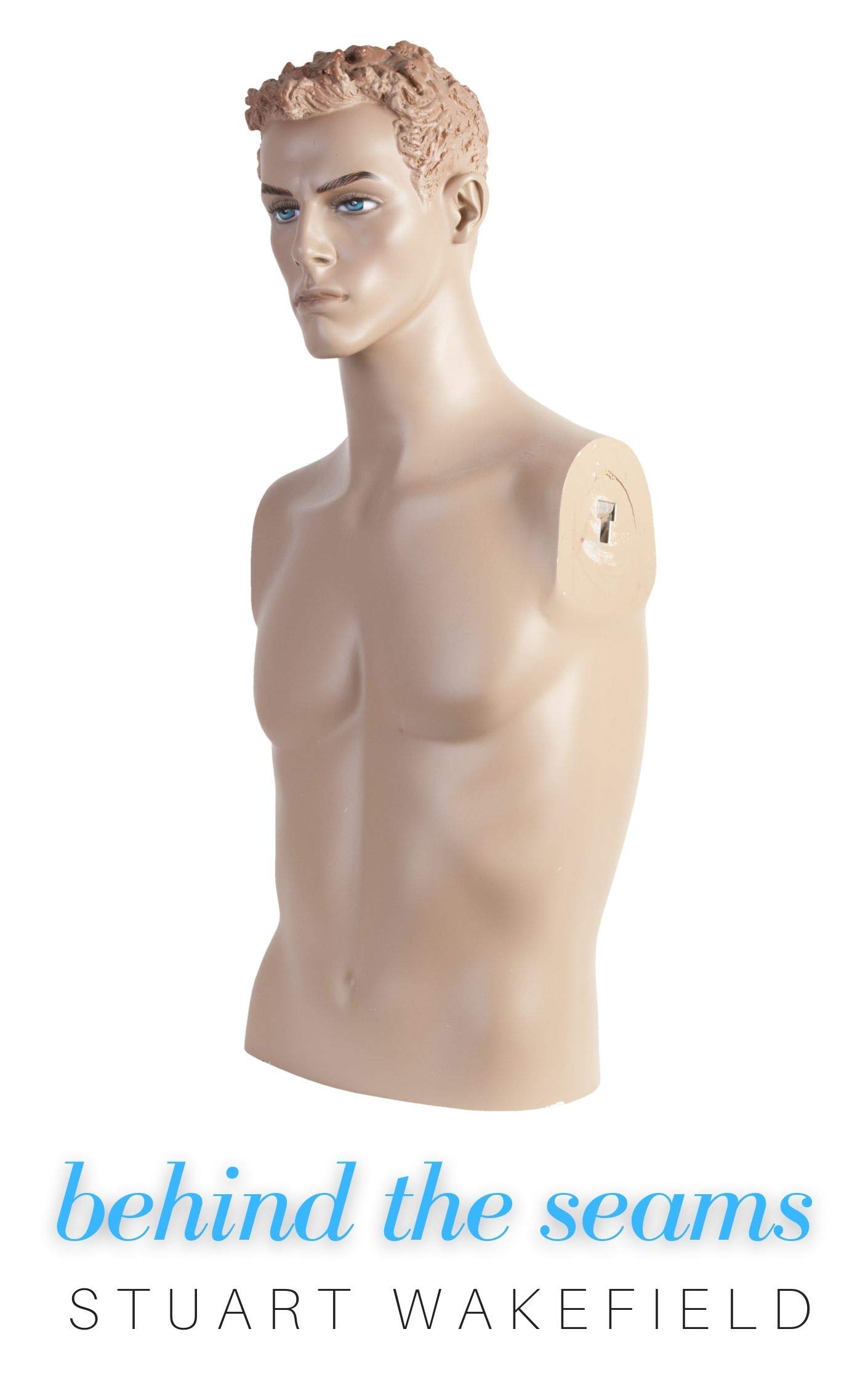 Behind the Seams (Bacchus Chronicles) by Stuart Wakefield | Goodreads