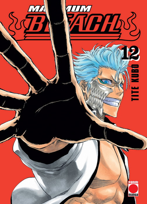 Maximum Bleach #12 (Maximum Bleach #12) by Tite Kubo | Goodreads