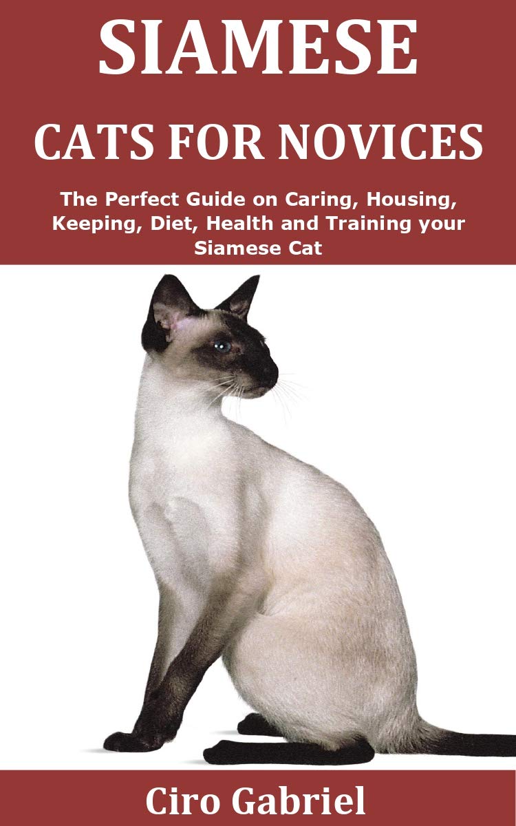 Siamese Cats for Novices: The Perfect Guide on Caring, Housing, Keeping ...